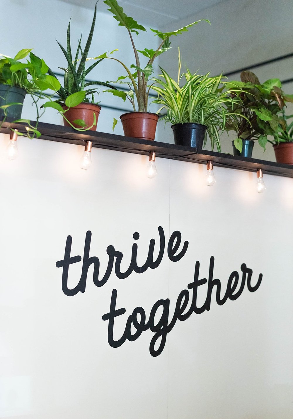 2025 Shop Applications — Thrive Local