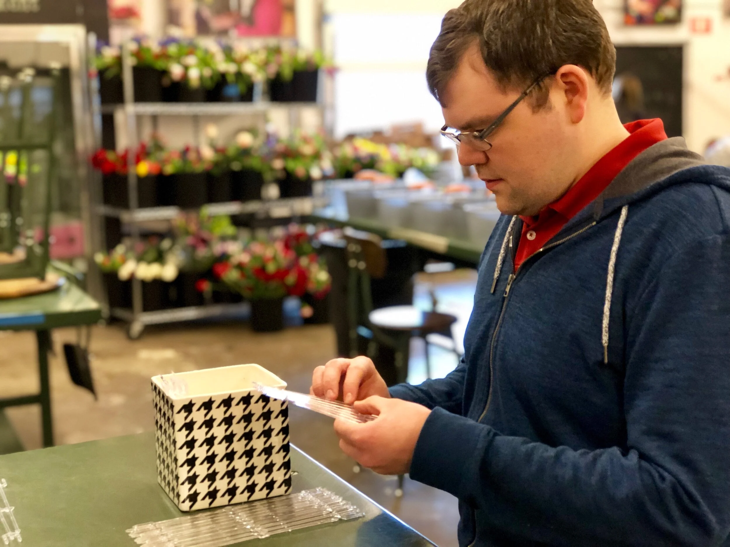 Life SCILS — Have Dreams