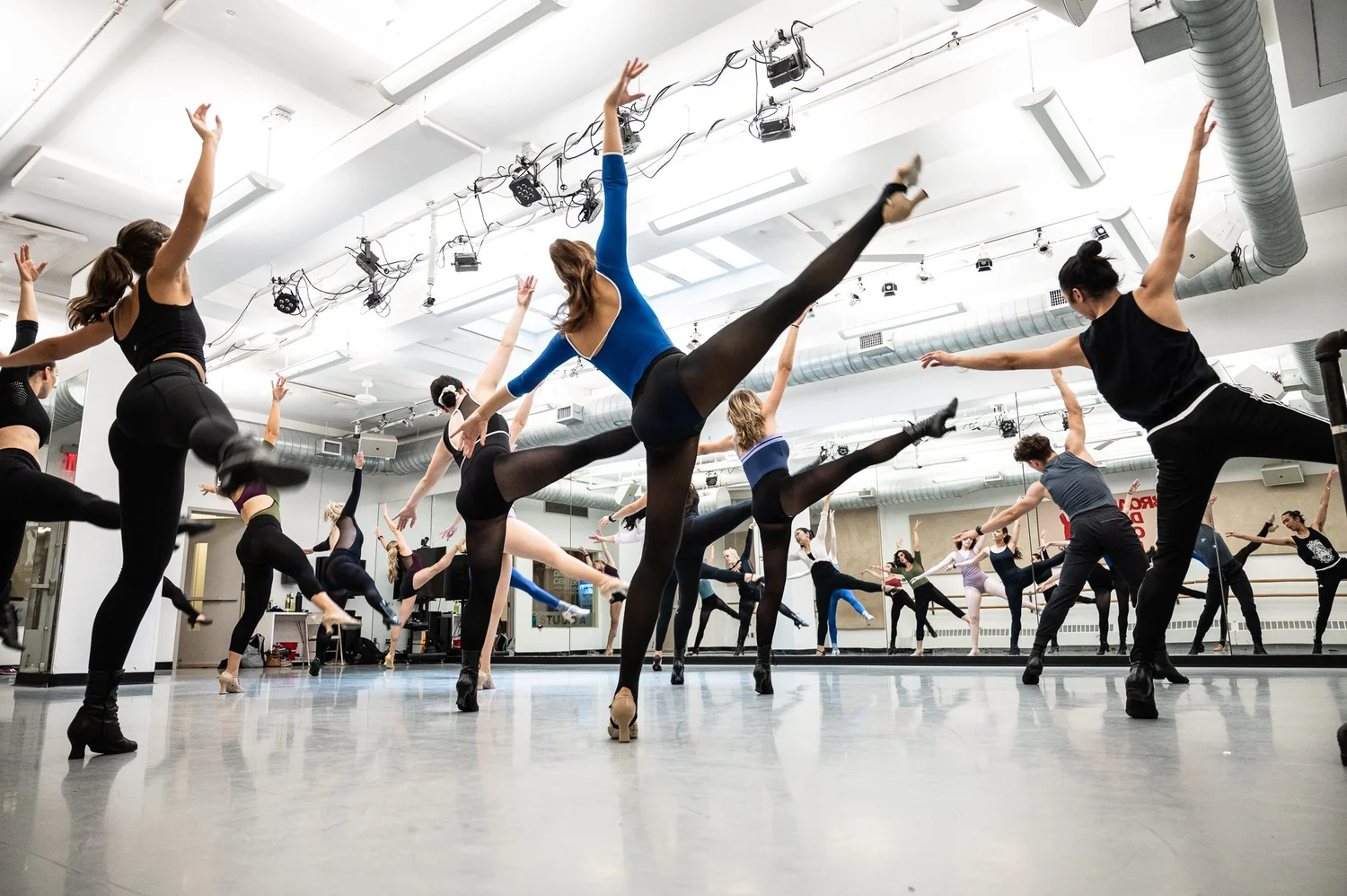 Professional Training Program — The Verdon Fosse® Legacy