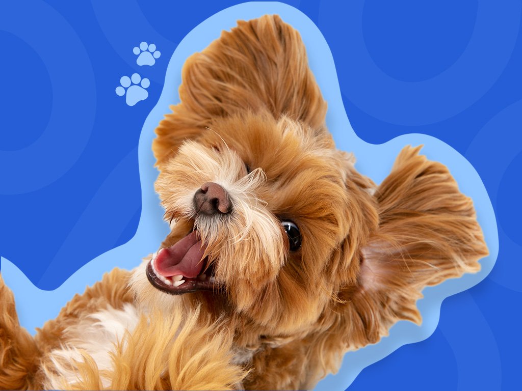 Graphic Design_2024 — MGC Portfolio Review