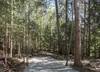 New House Design Featured Project: Treehouse Part 1 | Lincoln ...