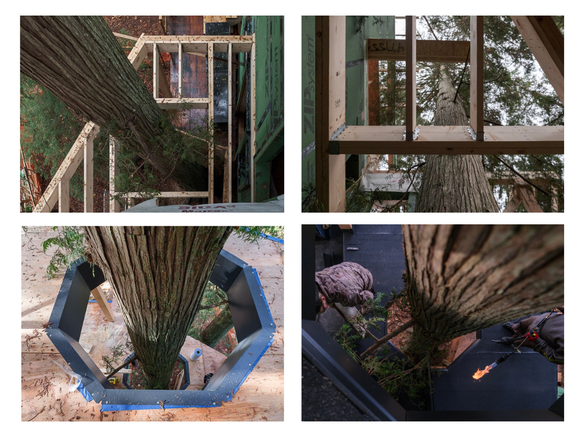Custom Home Build Featured Project: Treehouse, Part 3 | Sunshine Coast ...