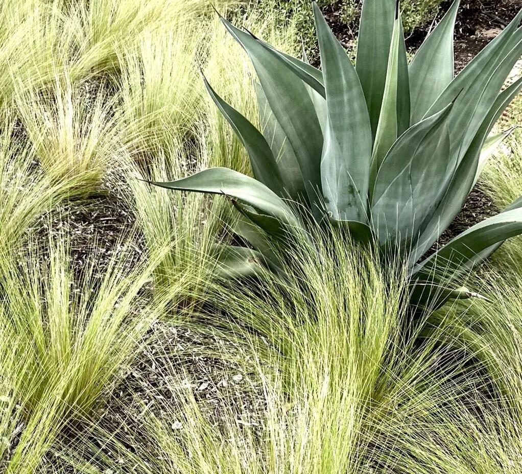 Services 2 — Raise Design