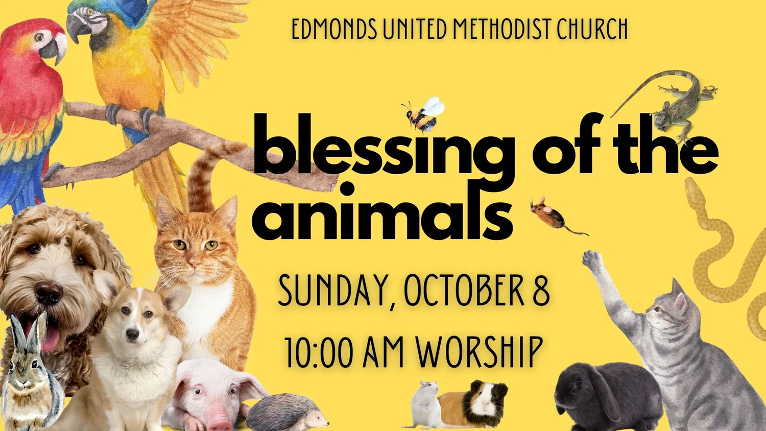 Edmonds United Methodist Church