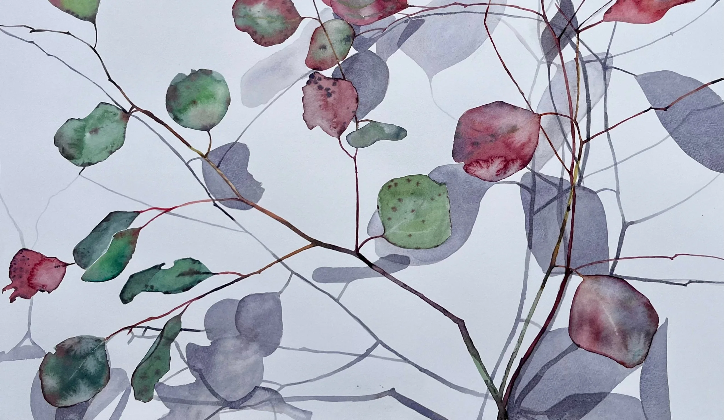 Botanical Portraits — Store 2 — Jess Jarvie Artistbotanical portraits ...