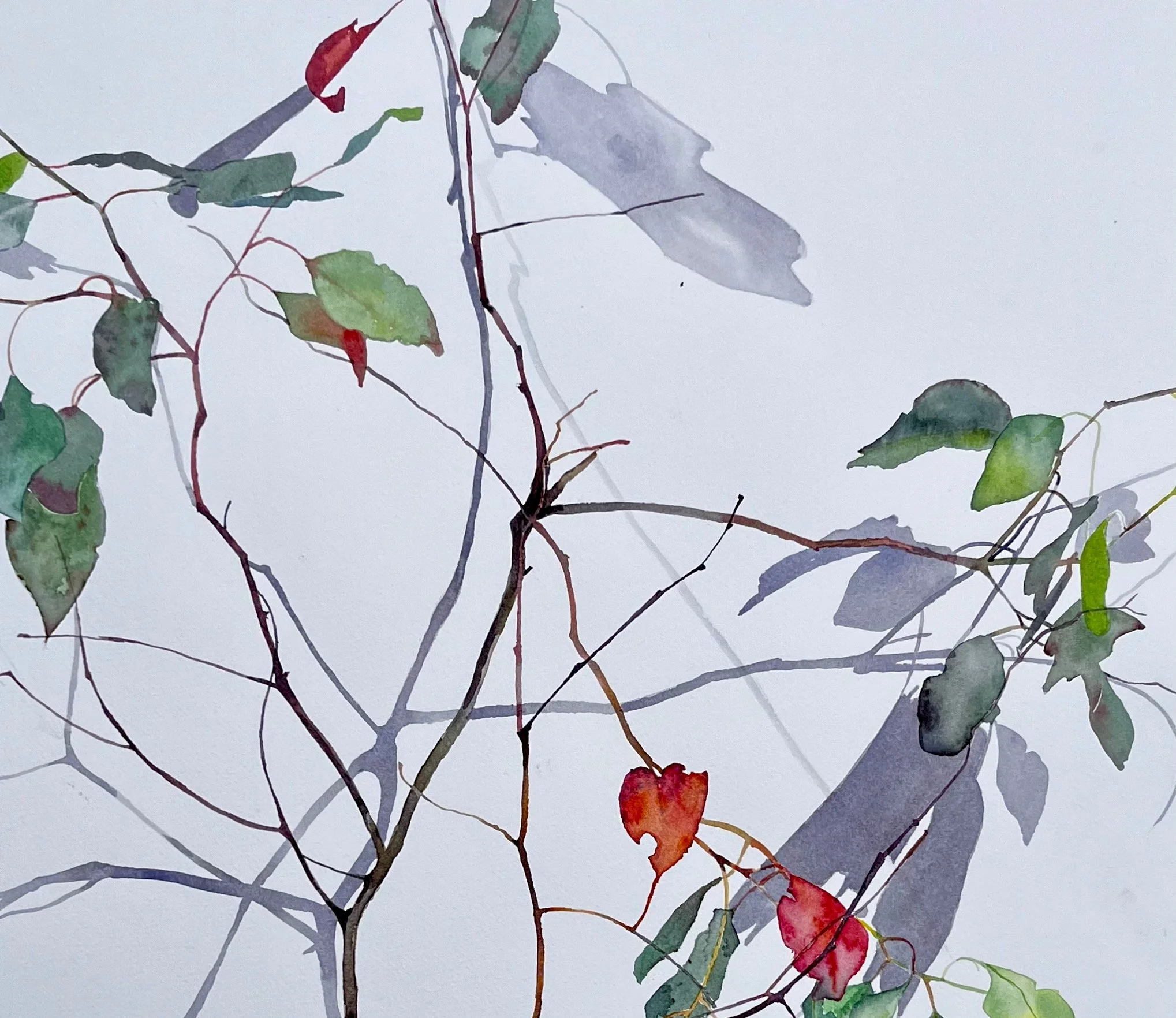 Botanical Portraits — Store 2 — Jess Jarvie Artistbotanical portraits ...