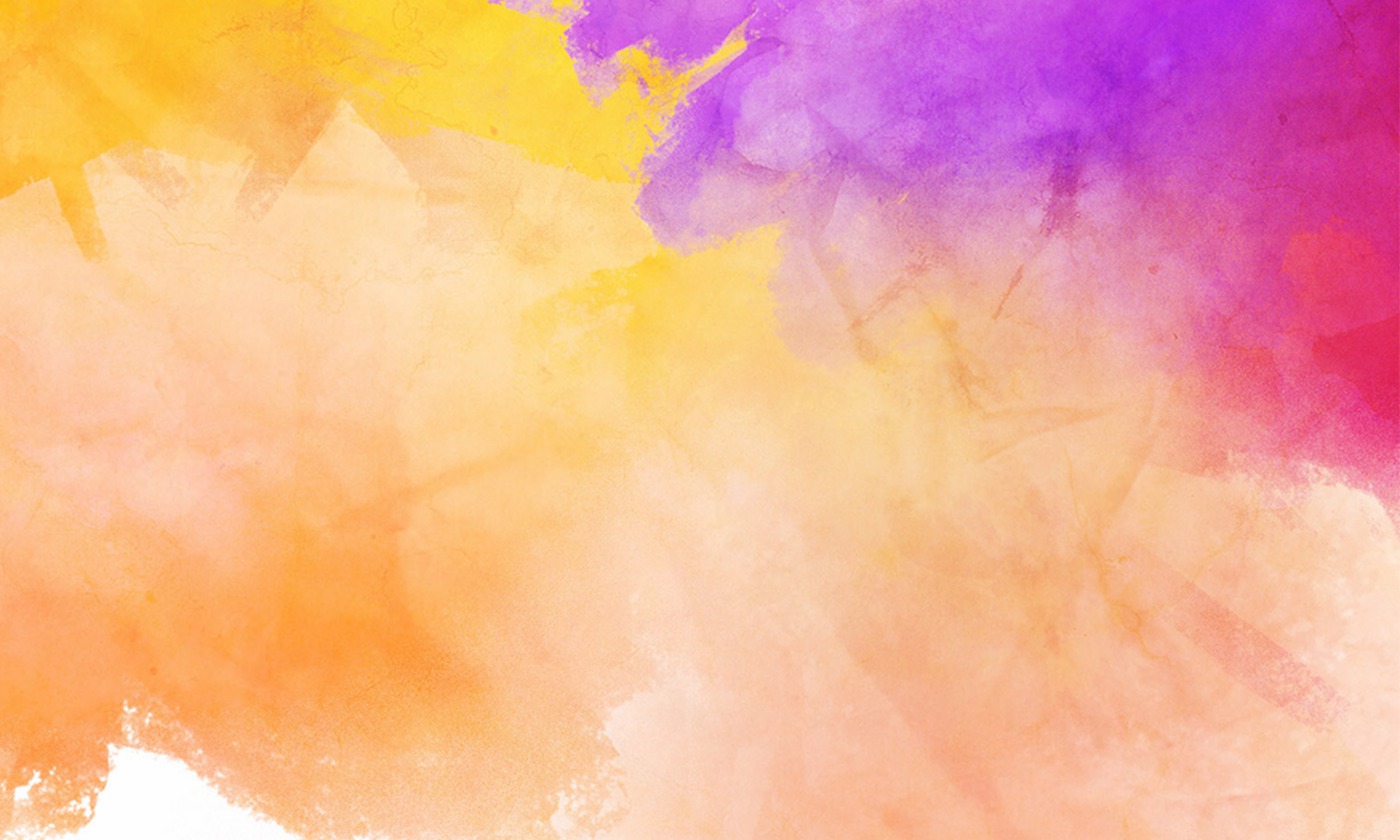 Pet Services — My Pet PA