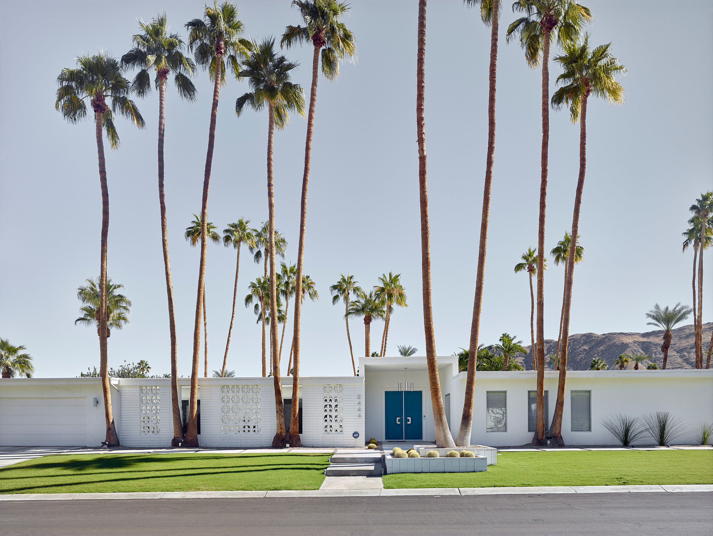 Desert Modern — Matthew Portch