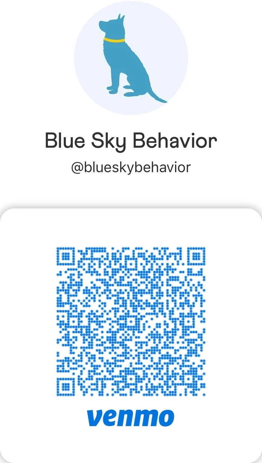 Initial Behavior Consultation — Blue Sky Behavior and Dog Training