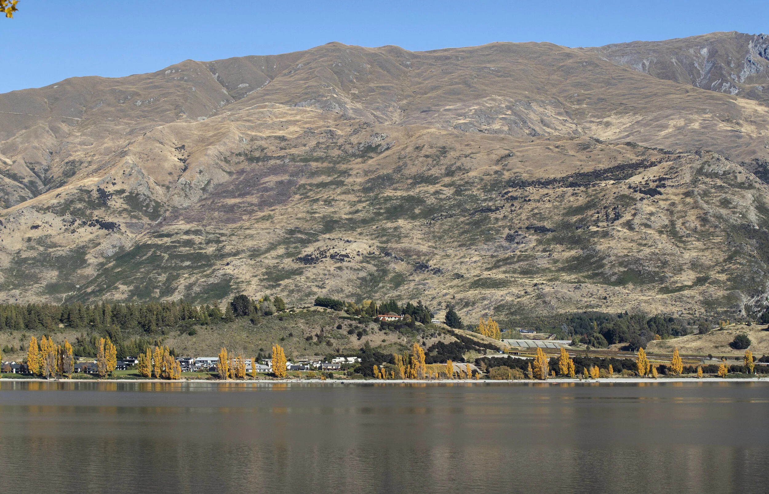 Rippon Winery House — Mason&Wales Architects