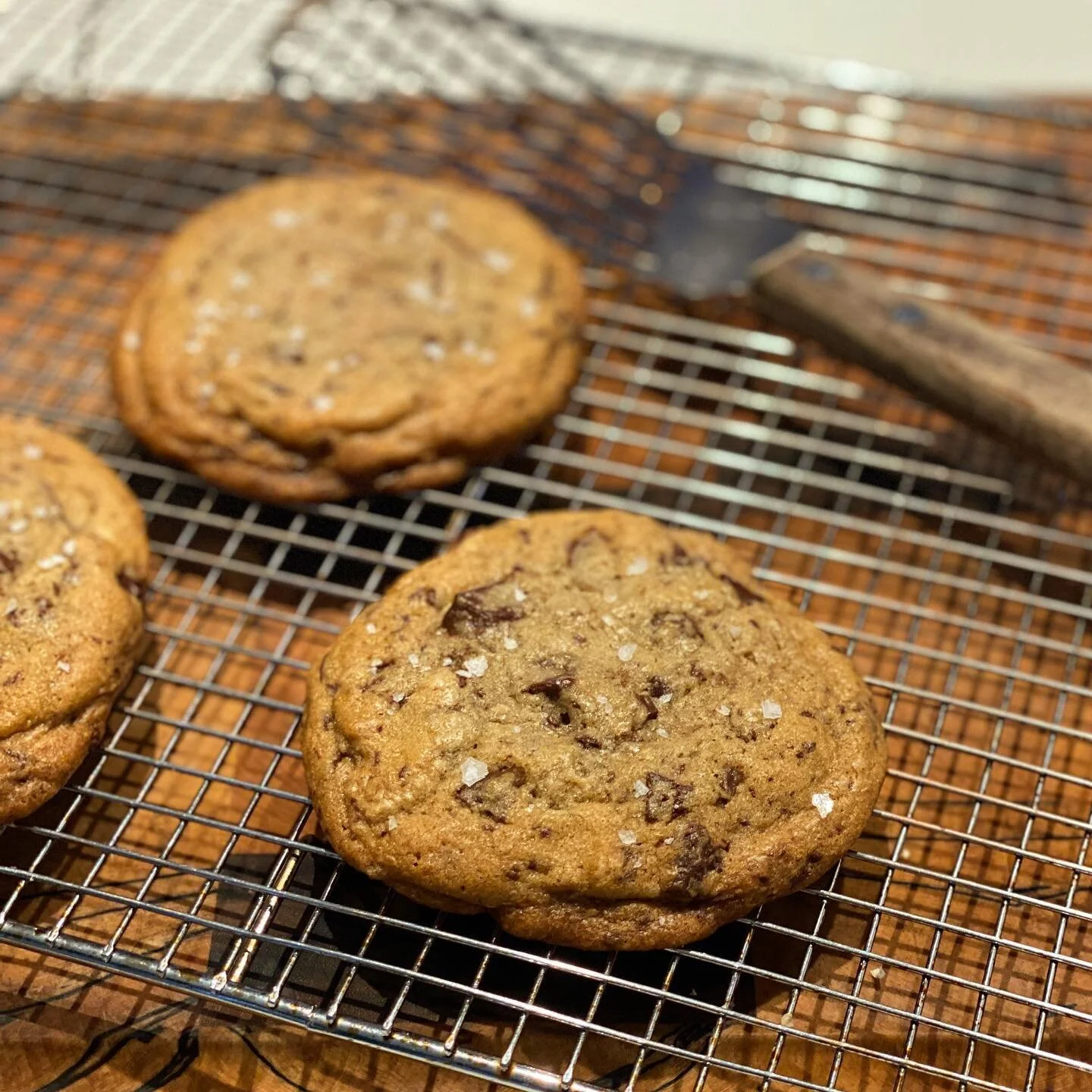 Shrimp Japchae (Korean Glass Noodles) — Remorseless Eating Machine