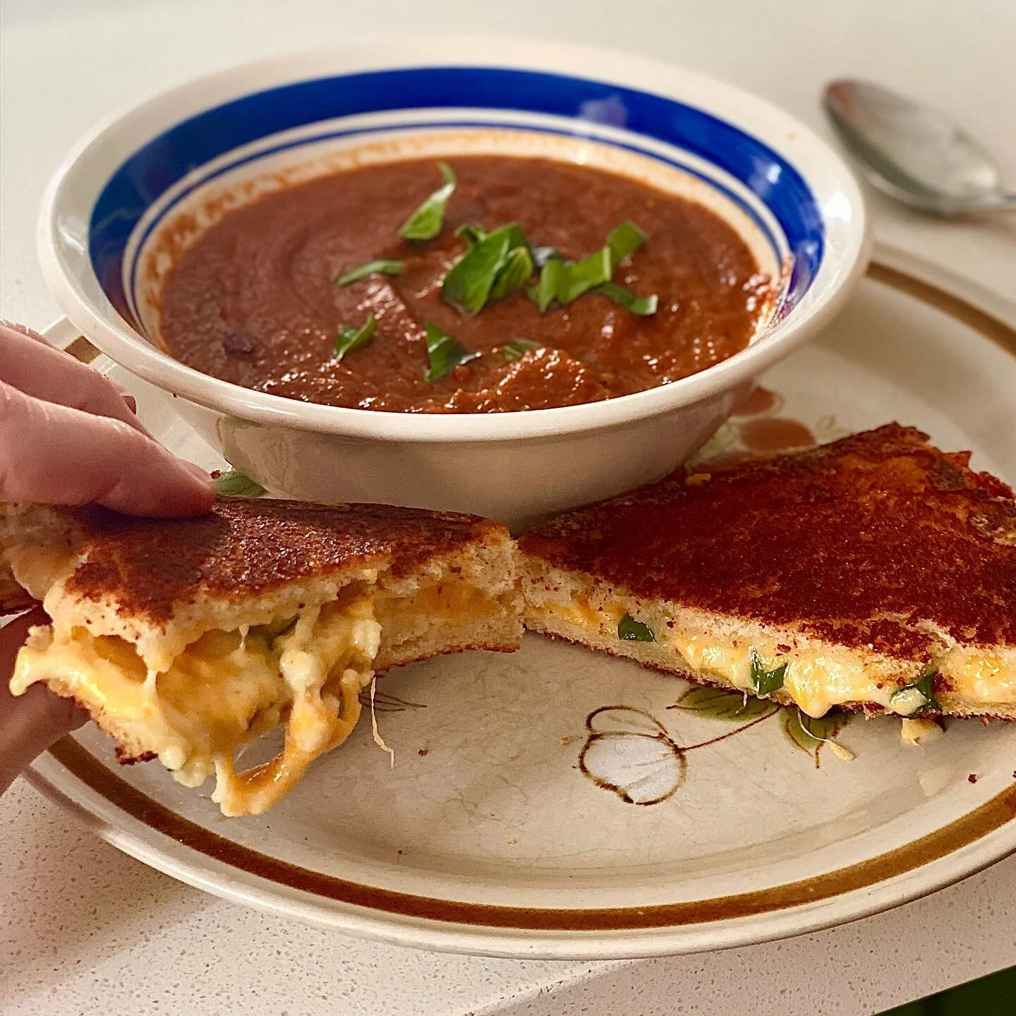 Shrimp Japchae (Korean Glass Noodles) — Remorseless Eating Machine
