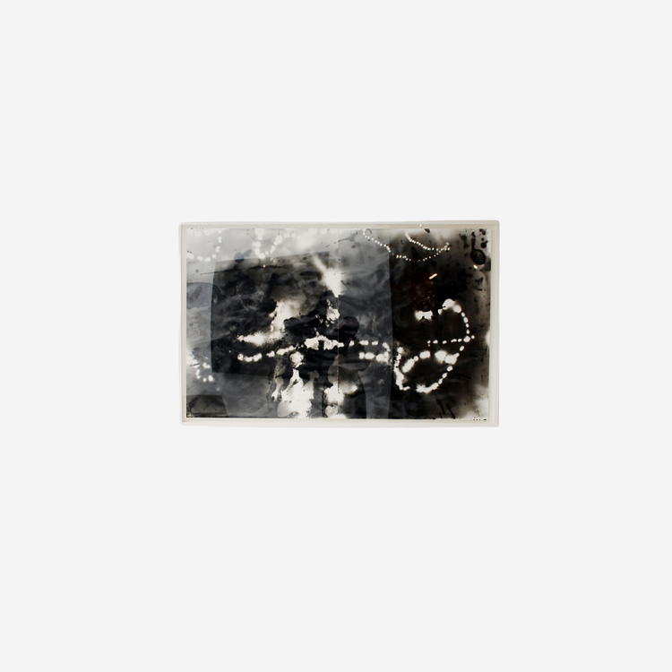 Michael Flomen | Cameraless Photography and Nature’s Imprint — GRAYE ...