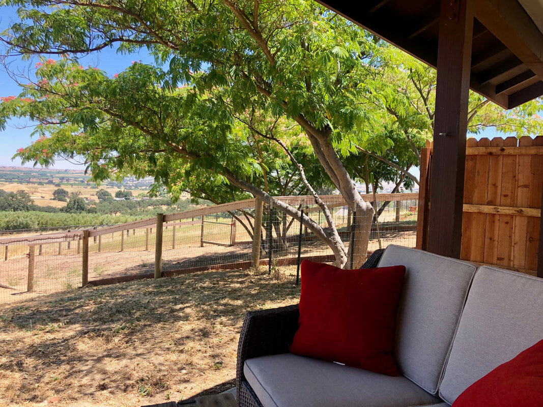 Guest Cottage — Loving Farm Animal Sanctuary