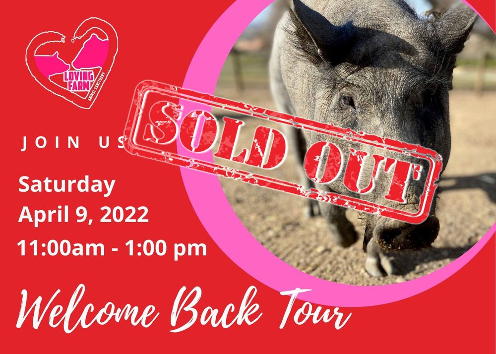 Welcome Back Tour — Loving Farm Animal Sanctuary