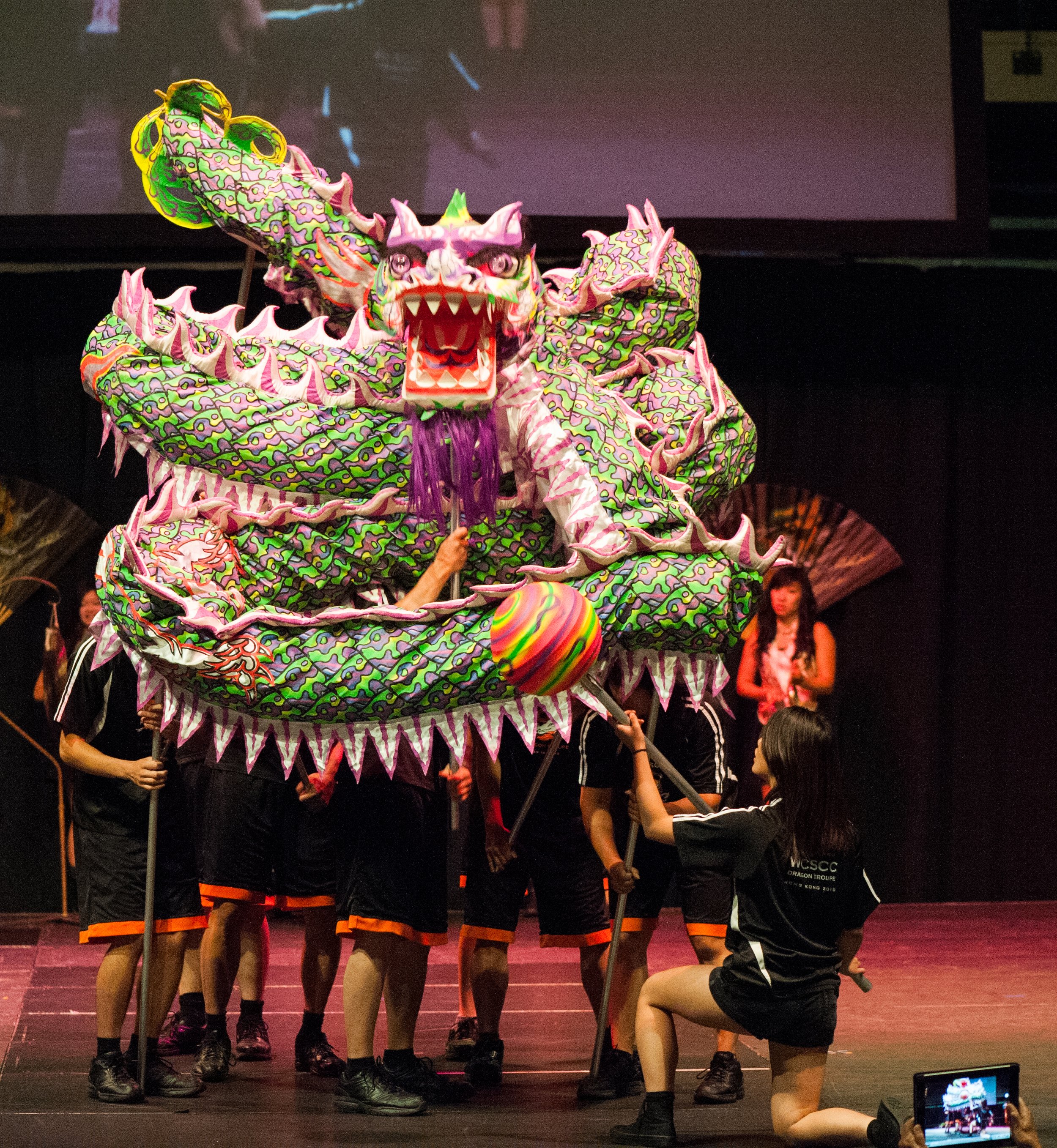 About the Lunar New Year — Lunar New Year Festival