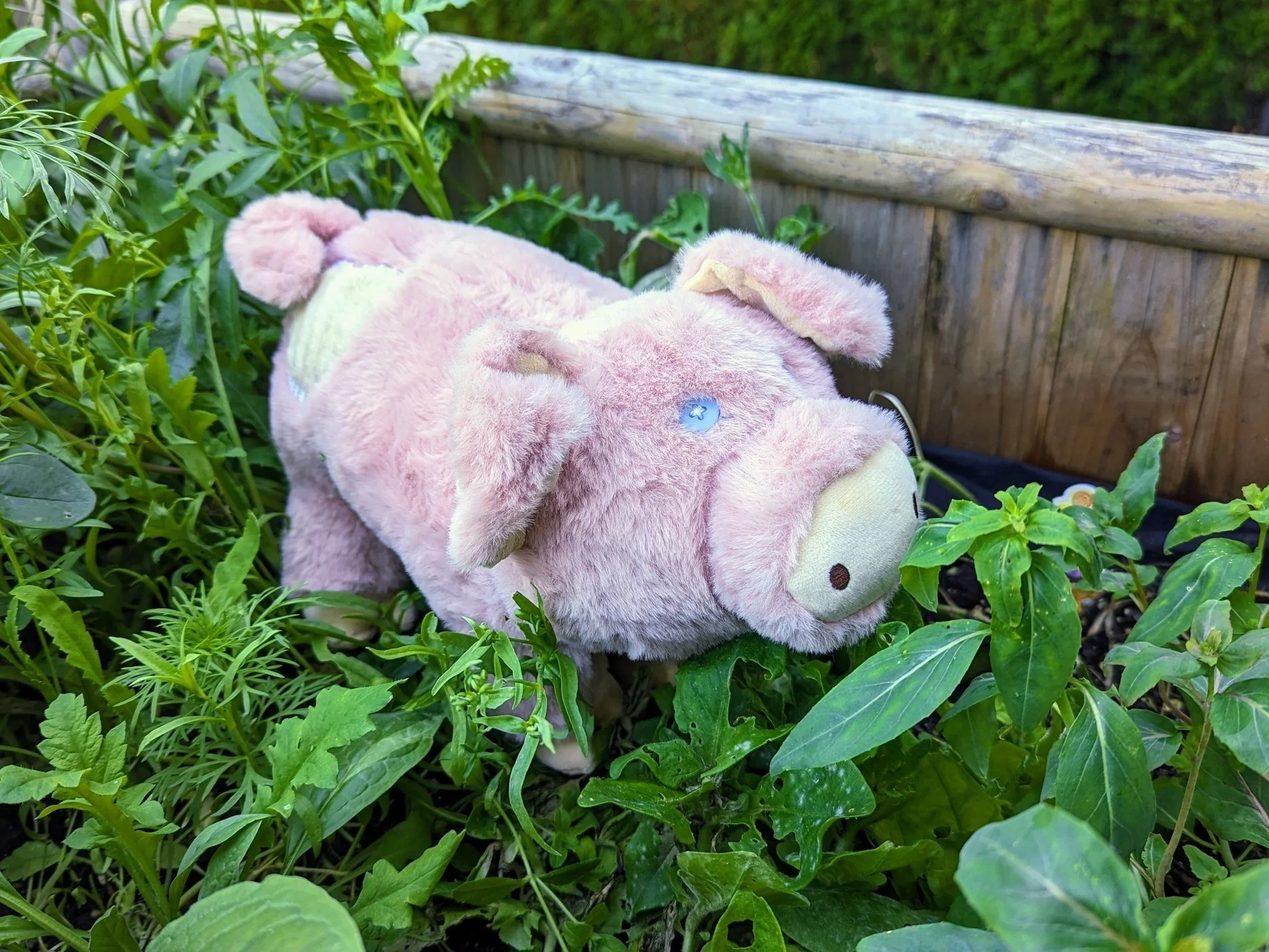 Slumberland He's a Pig and His name is Pig. Nemo stuffed plush pig that ...
