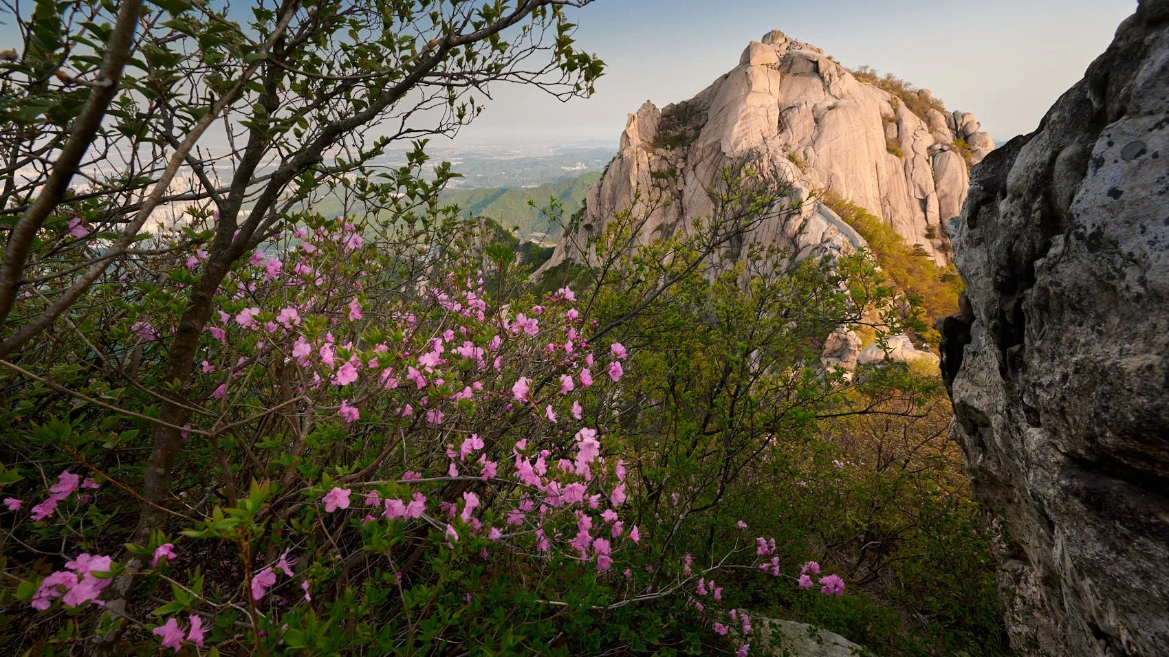 Spring, flowers and views — ROMAINPHOTO