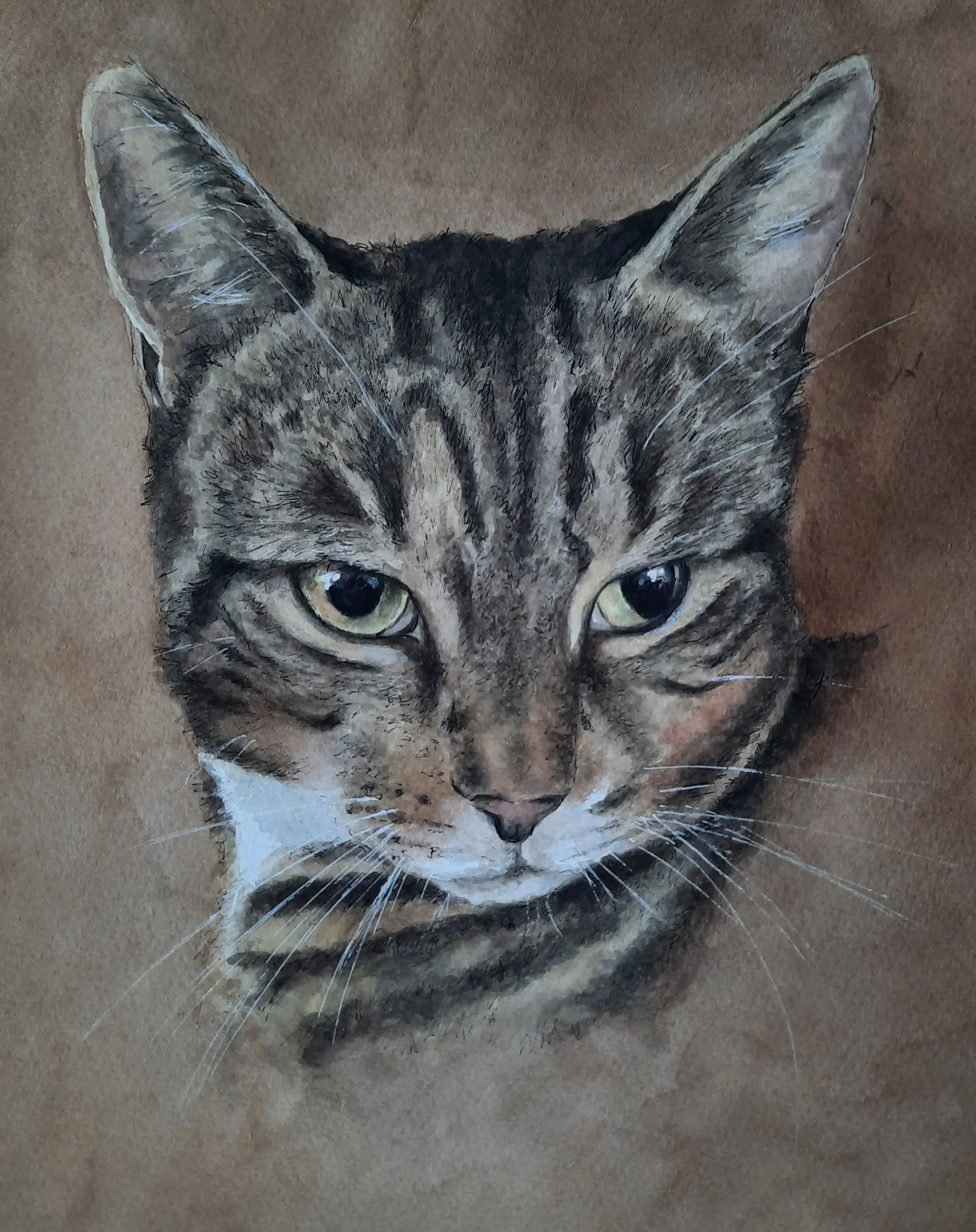 Biography Clare Gaunt — Association Of Animal Artists