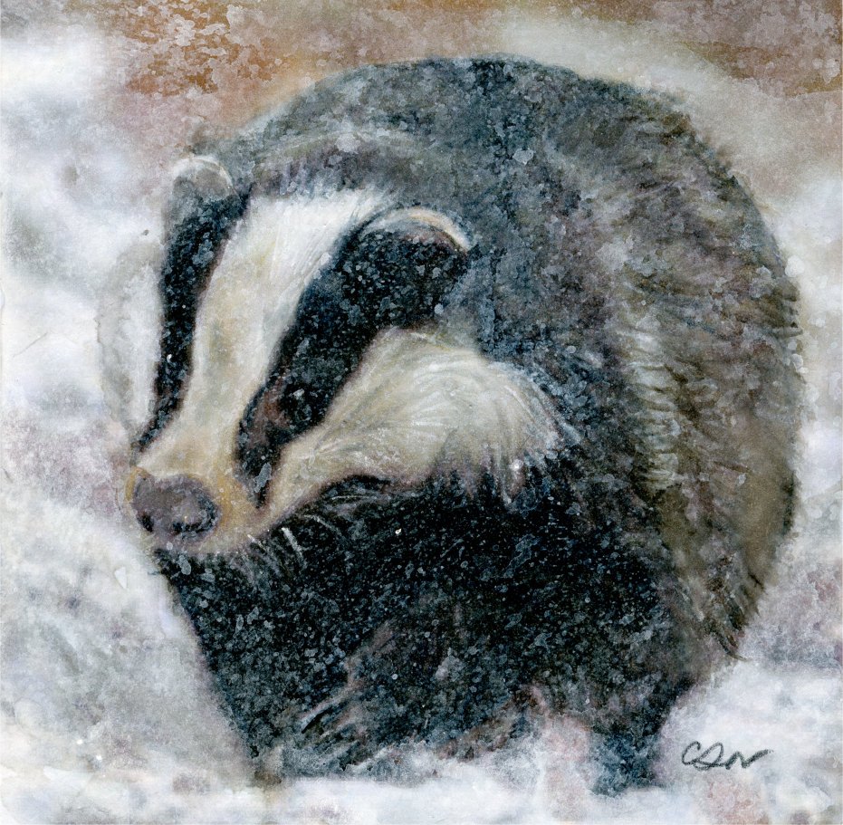 Members Biographies — Association Of Animal Artists