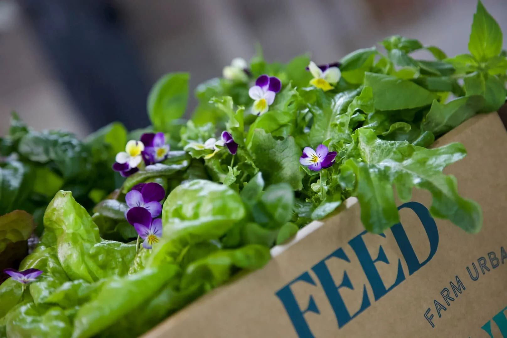 Shop — Greens For Good