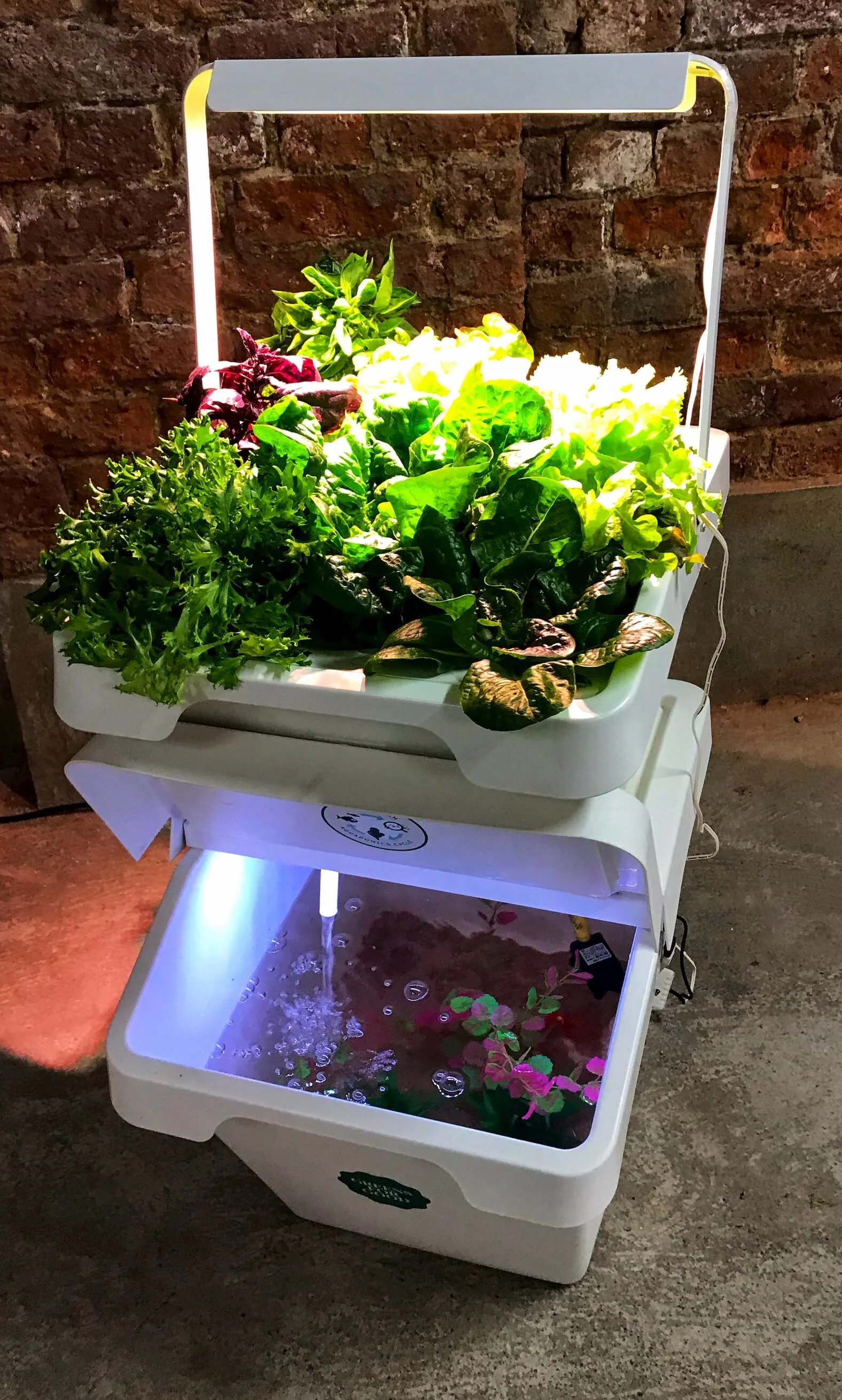 Shop — Greens For Good