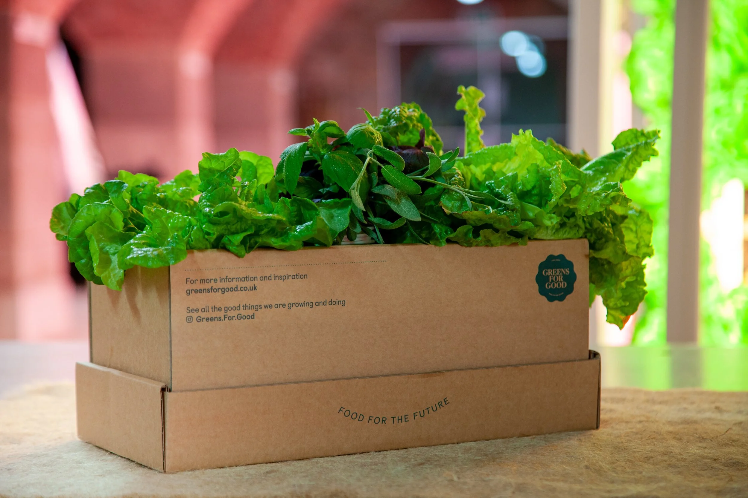 Shop — Greens For Good