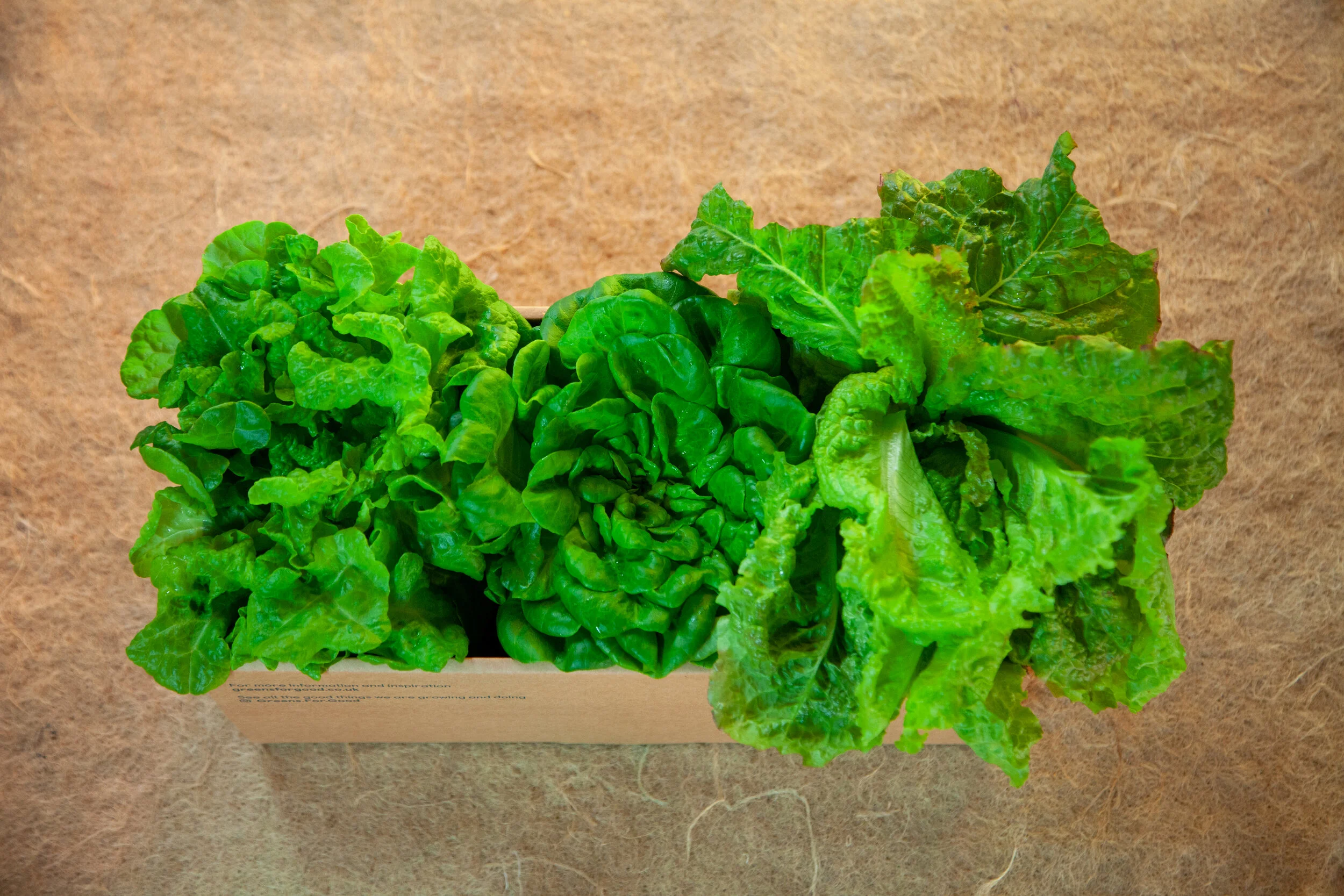 Shop — Greens For Good