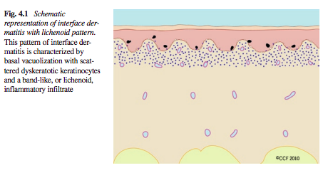 Dermatopathology Lesson 1 — PathElective