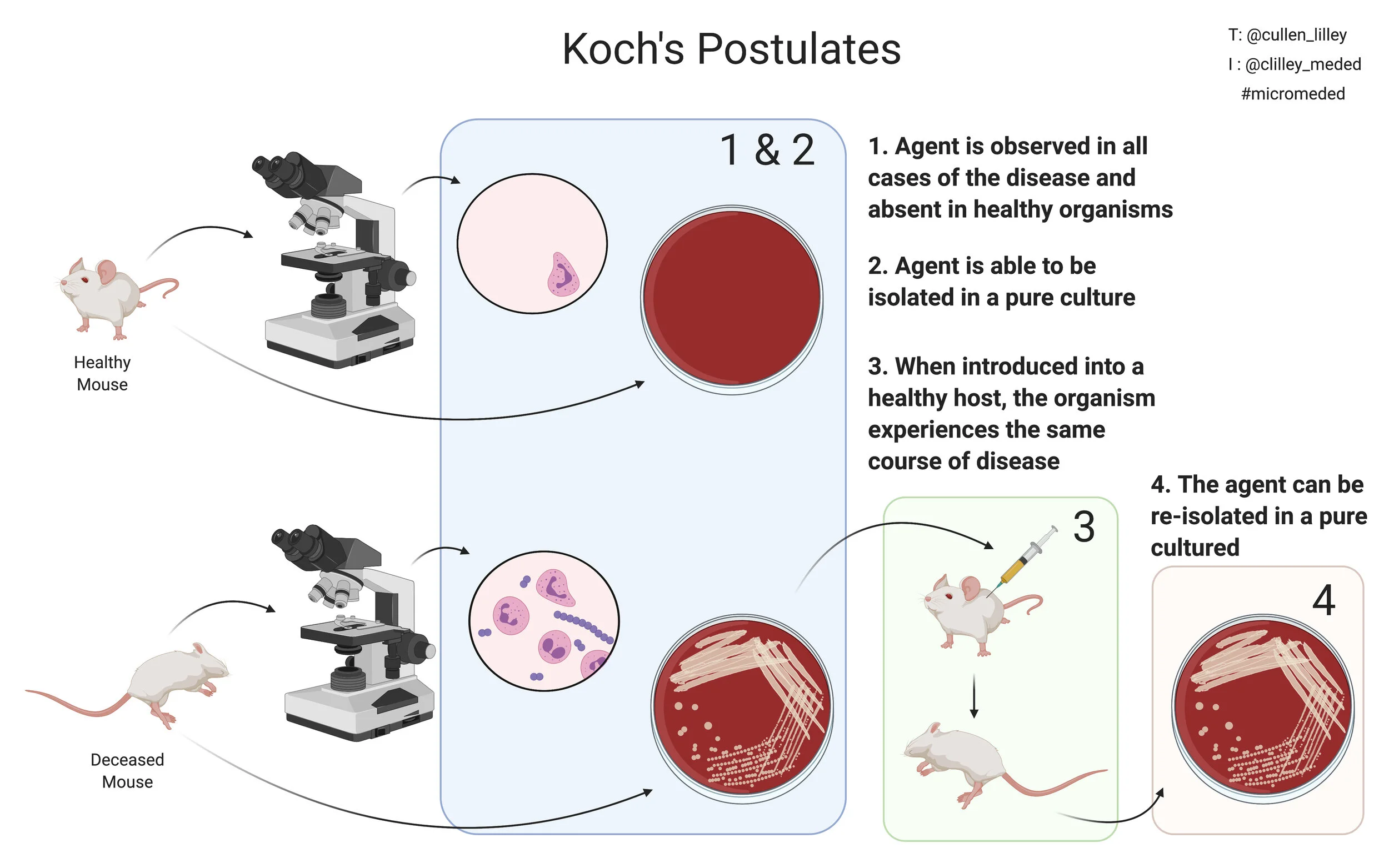 Koch’s Postulates and the Advent of Modern Medical Microbiology ...
