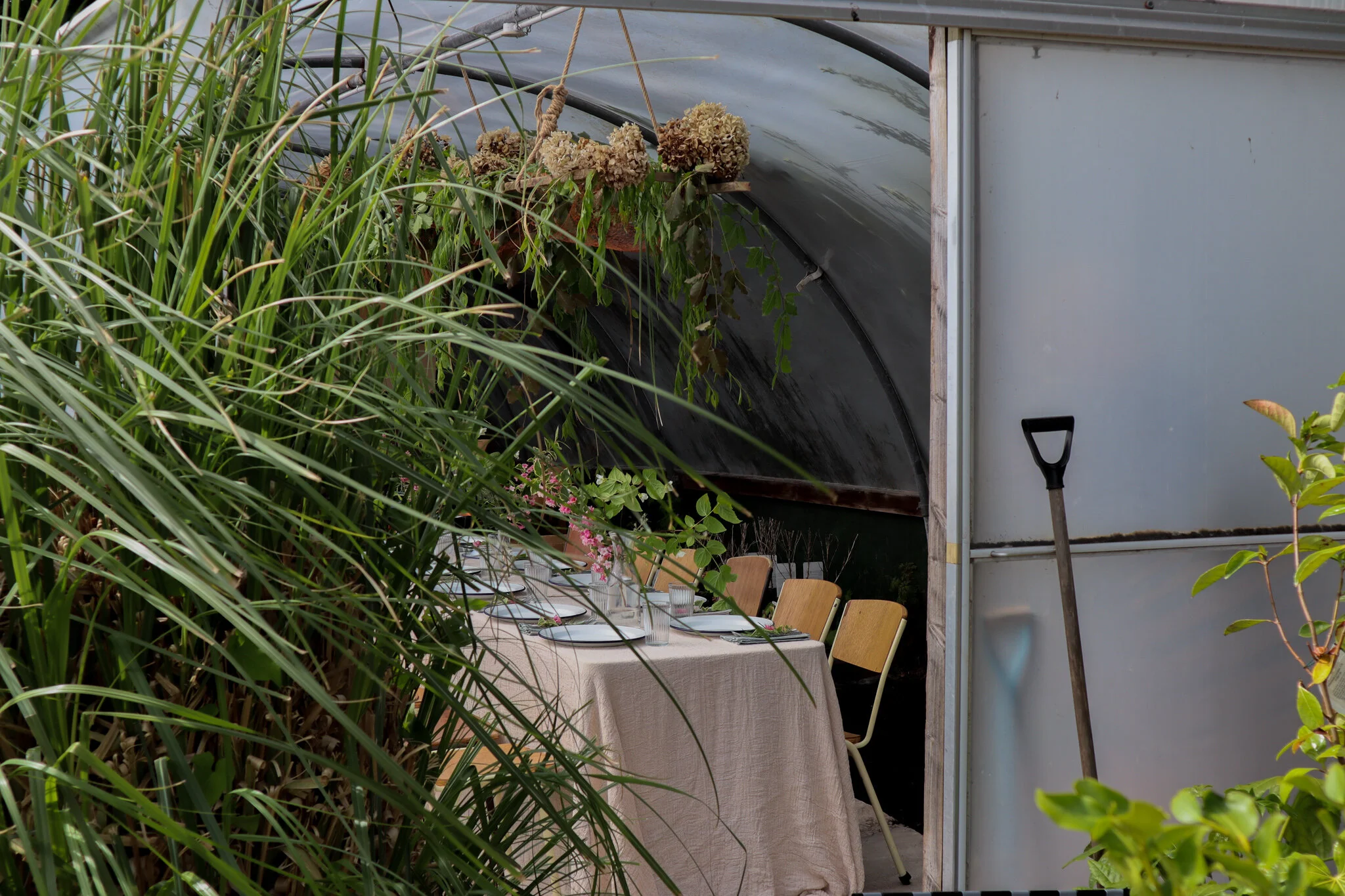 Wild Root Kitchen, Ormskirk | Vegan Food Specialists