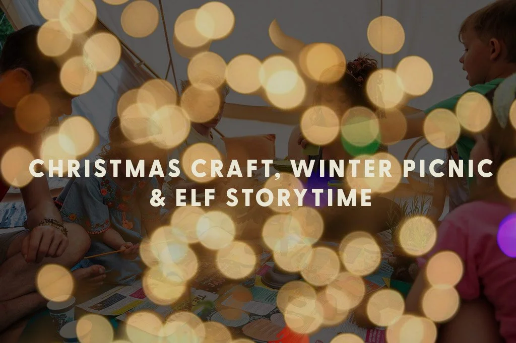 What's On — WILD ROOT