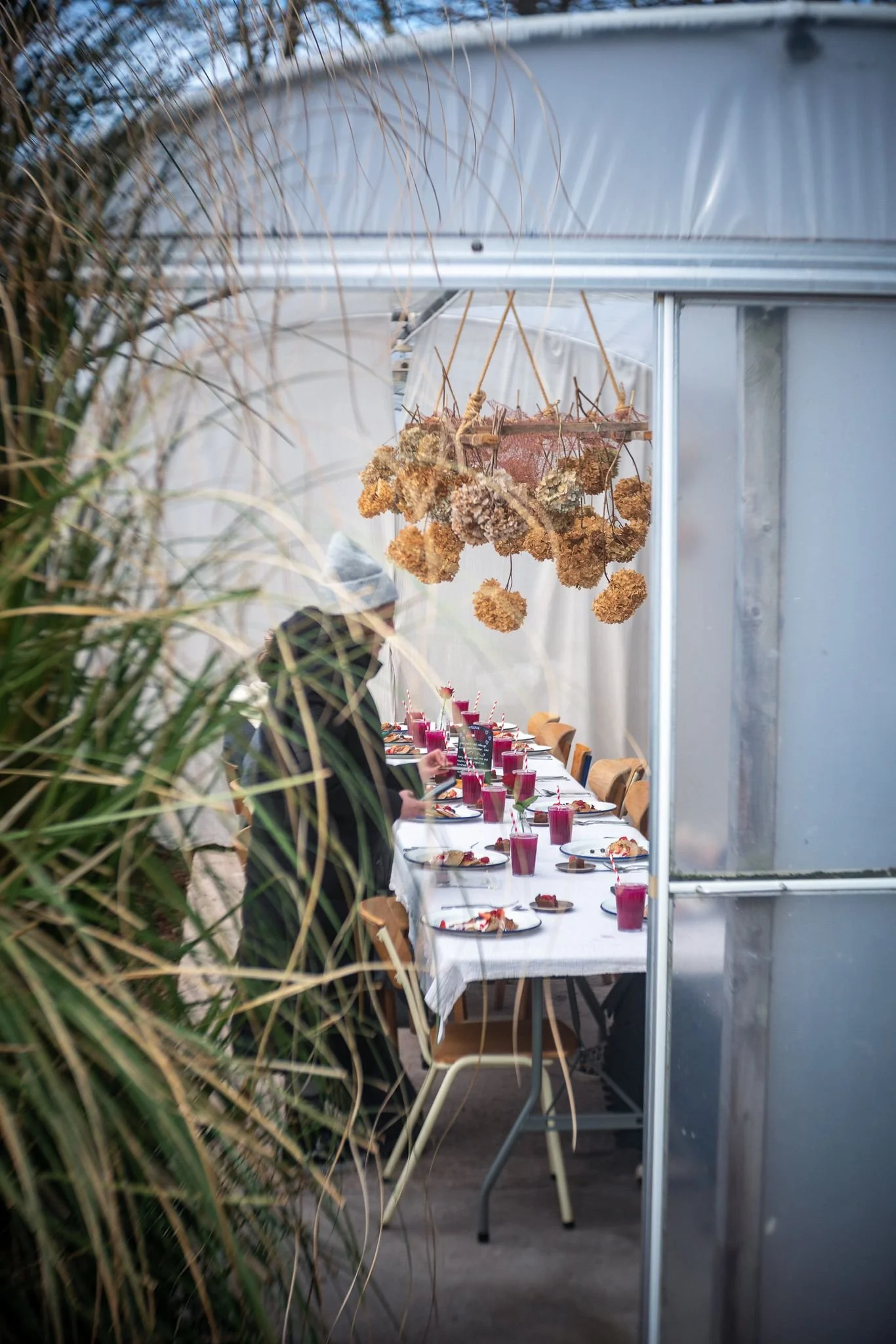What's On — WILD ROOT