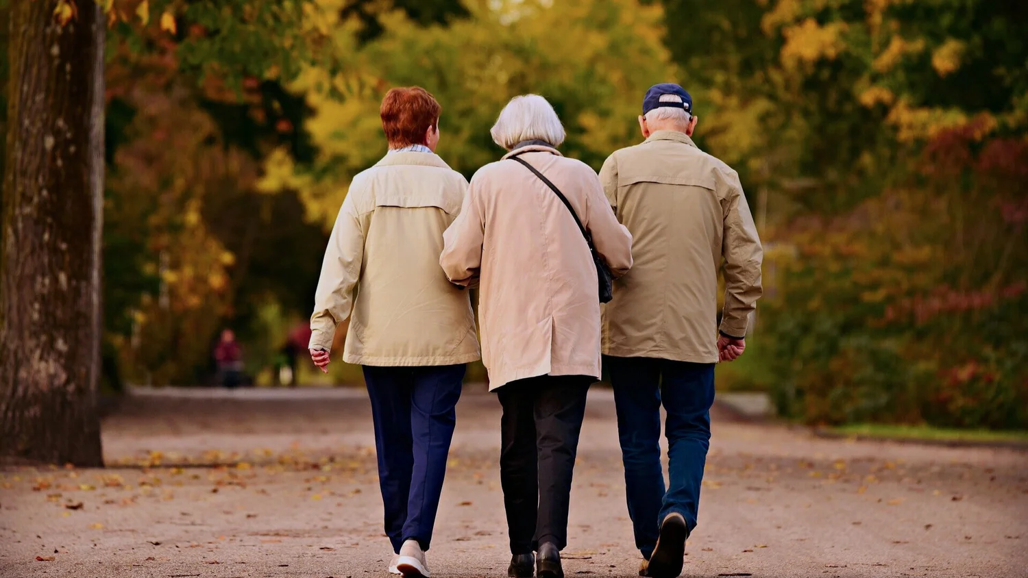 Senior Connect