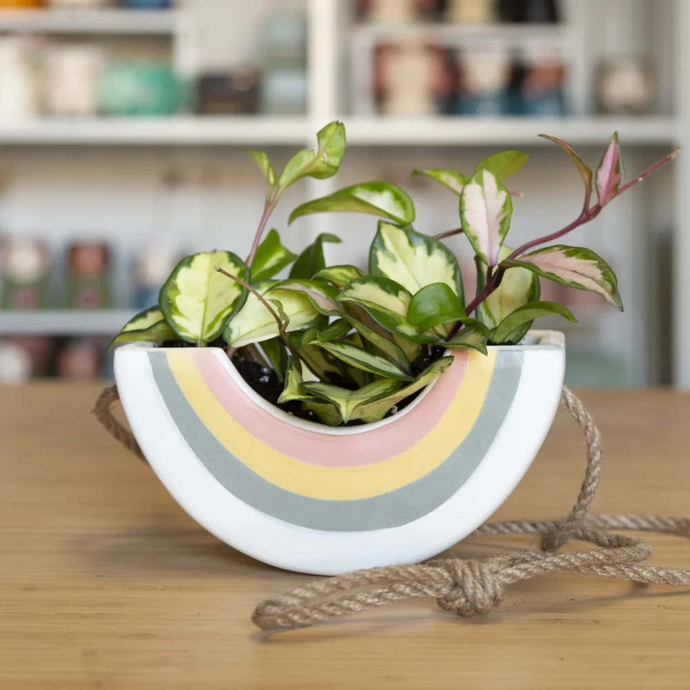 Sewing Machine Planter — Stayin' Alive Succulents