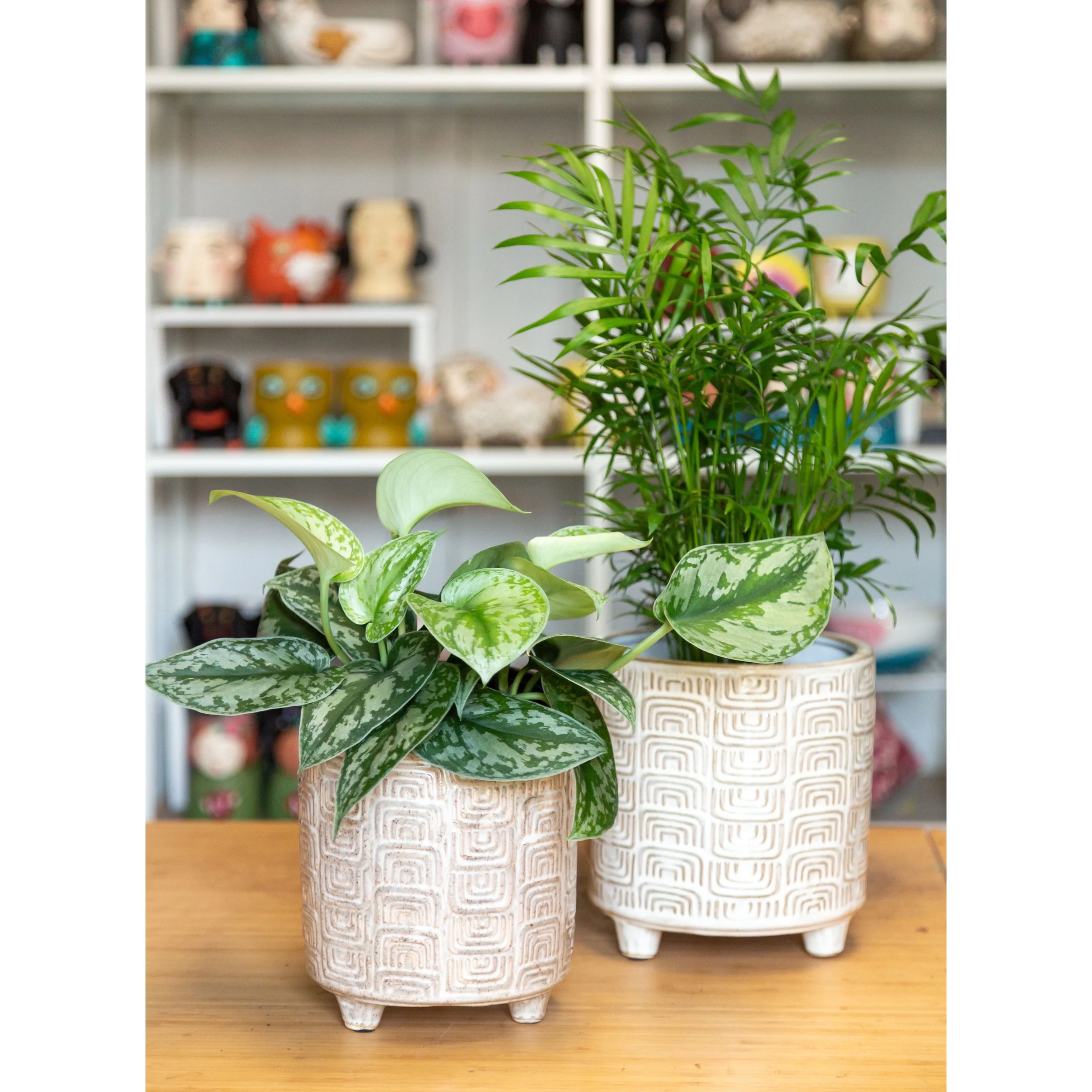 Dreamy pink matte planters — Stayin' Alive Succulents