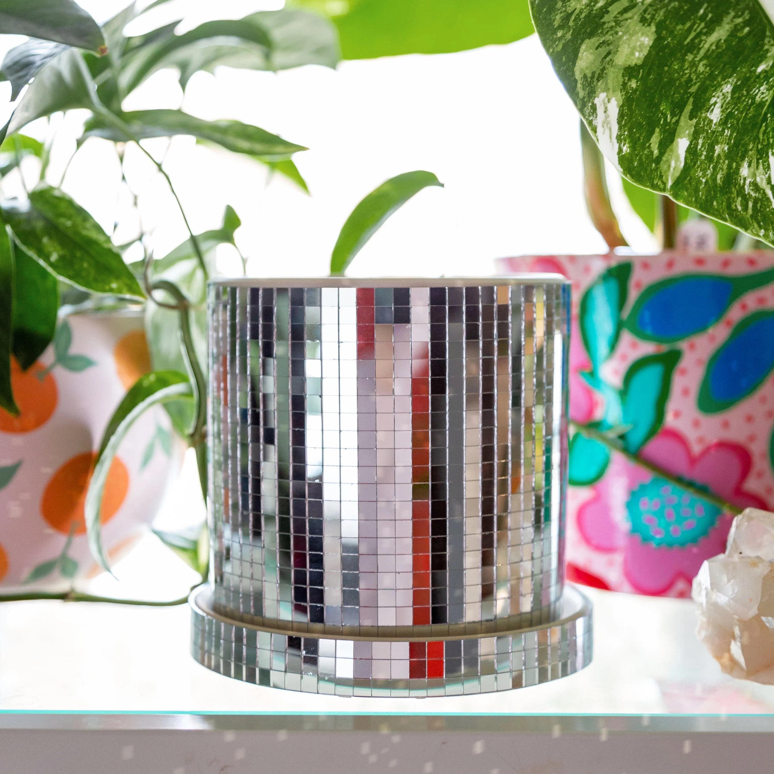 Tegan Collection - Iridescent Rainbow Pots — Stayin' Alive Succulents