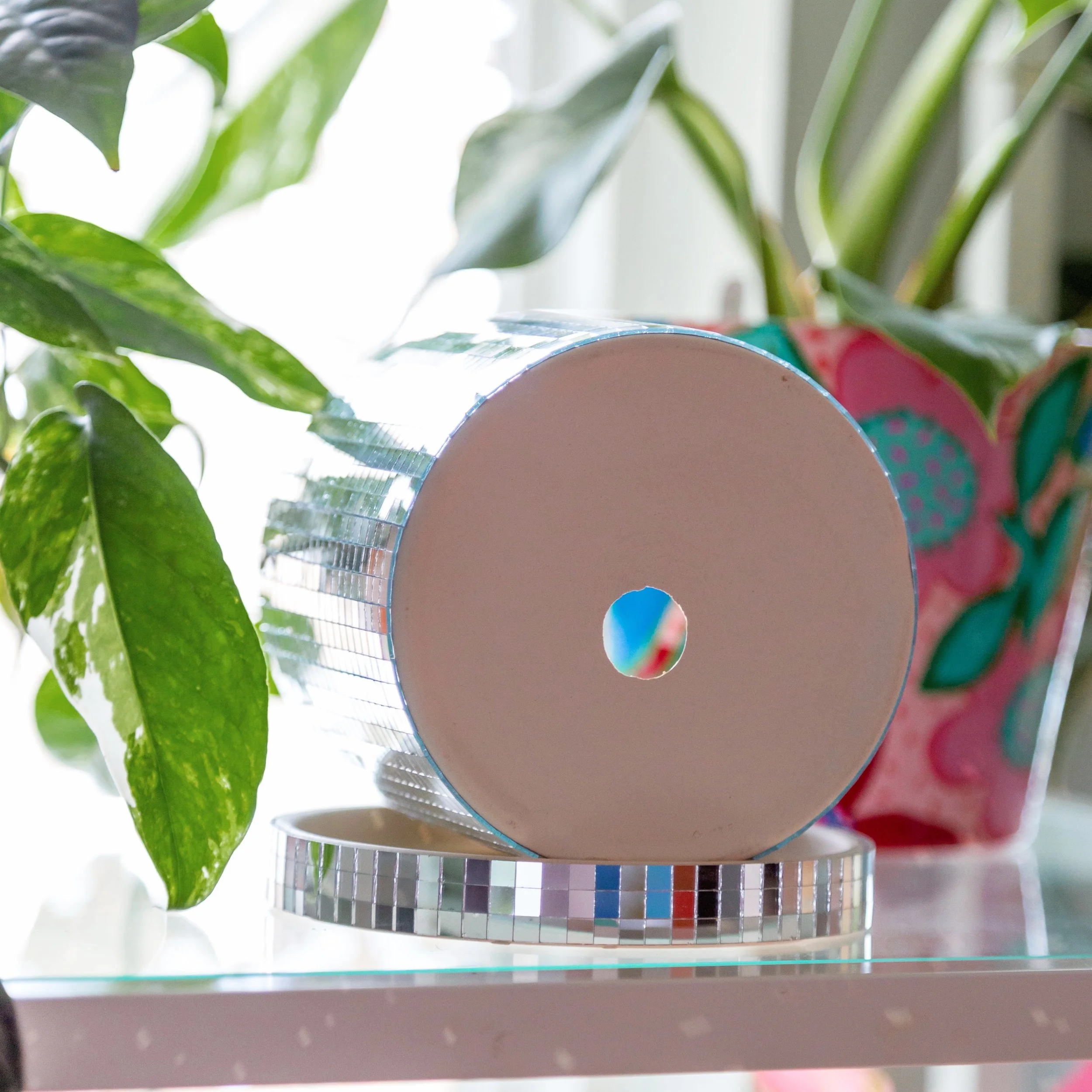 Tegan Collection - Iridescent Rainbow Pots — Stayin' Alive Succulents