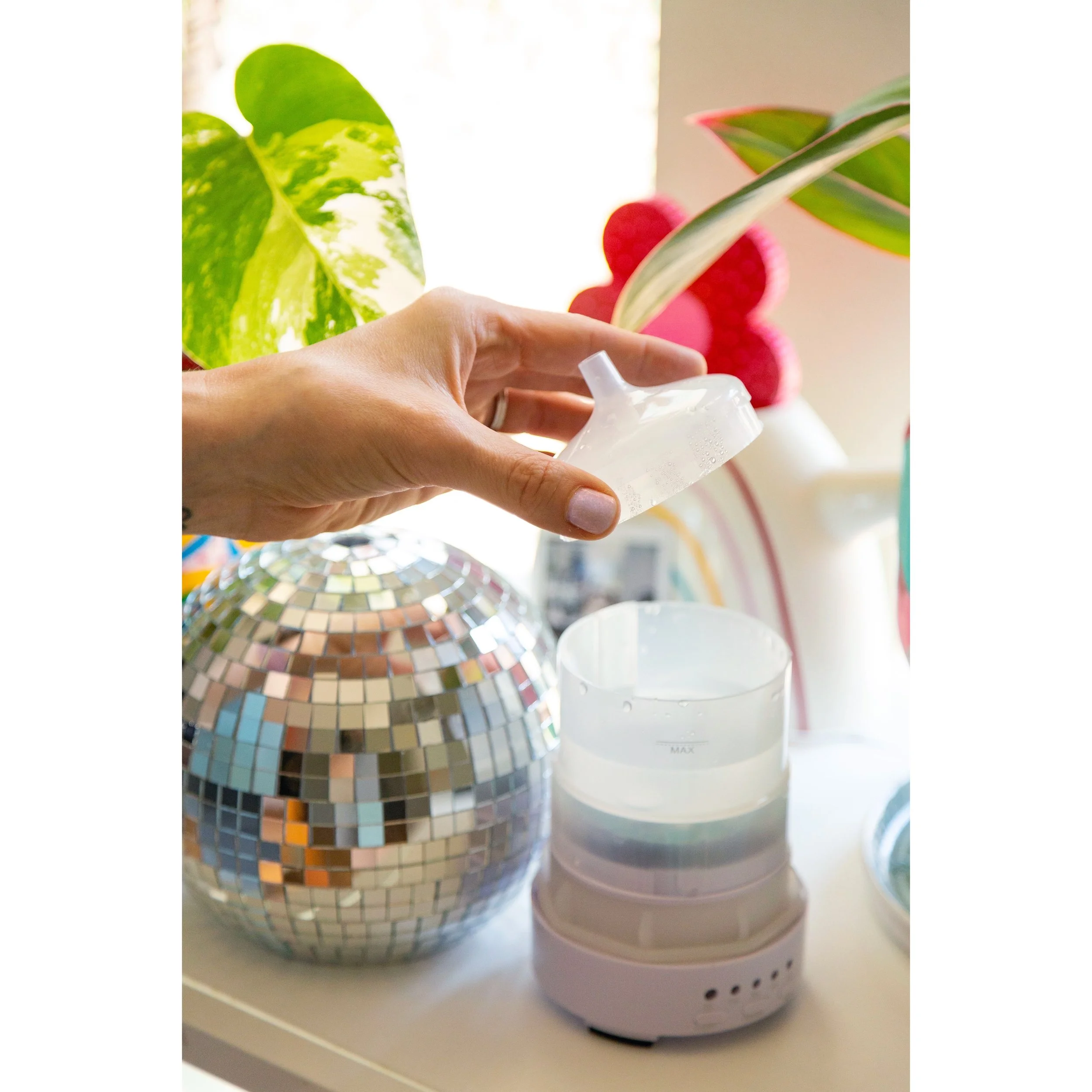 Tegan Collection - Iridescent Rainbow Pots — Stayin' Alive Succulents