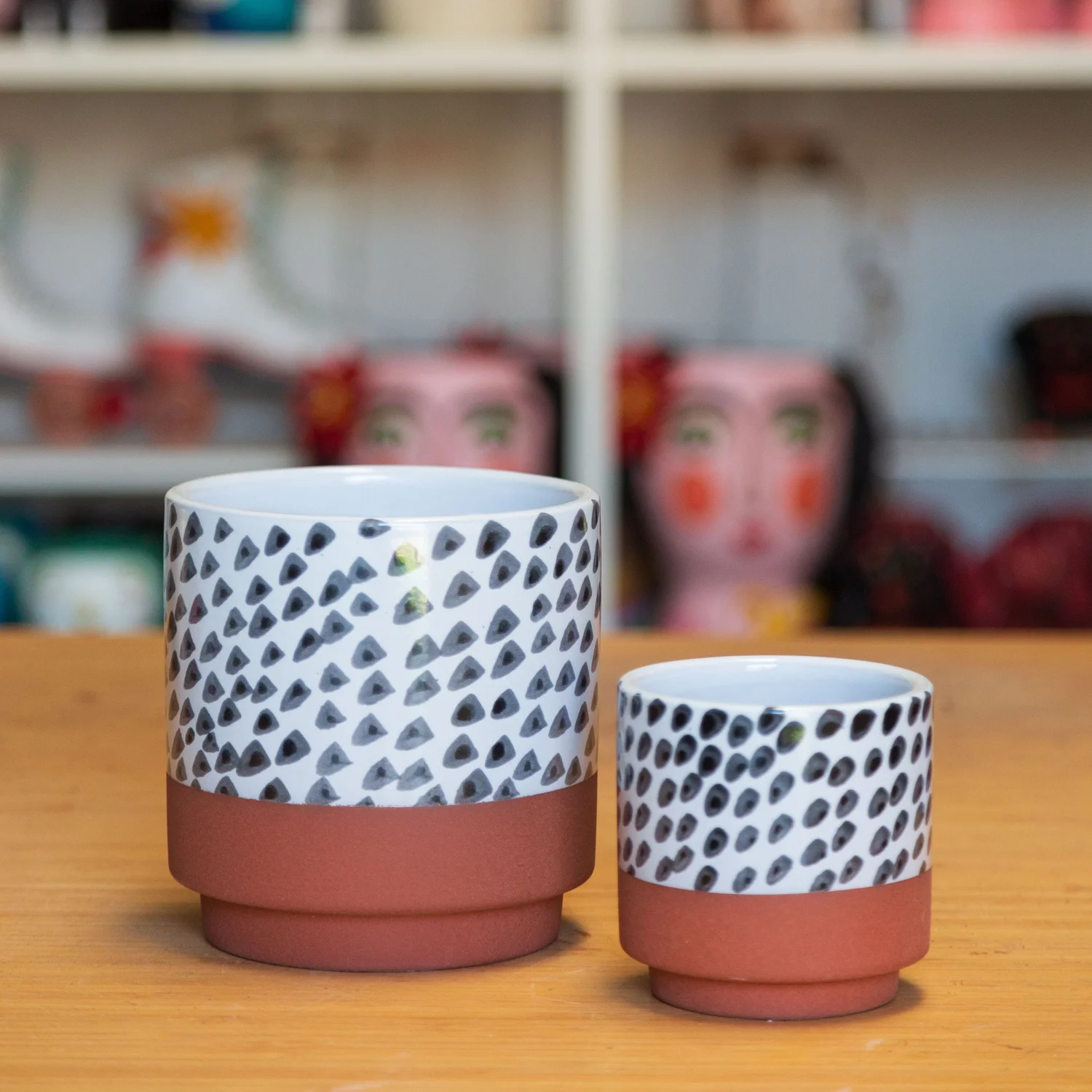 Tegan Collection - Iridescent Rainbow Pots — Stayin' Alive Succulents