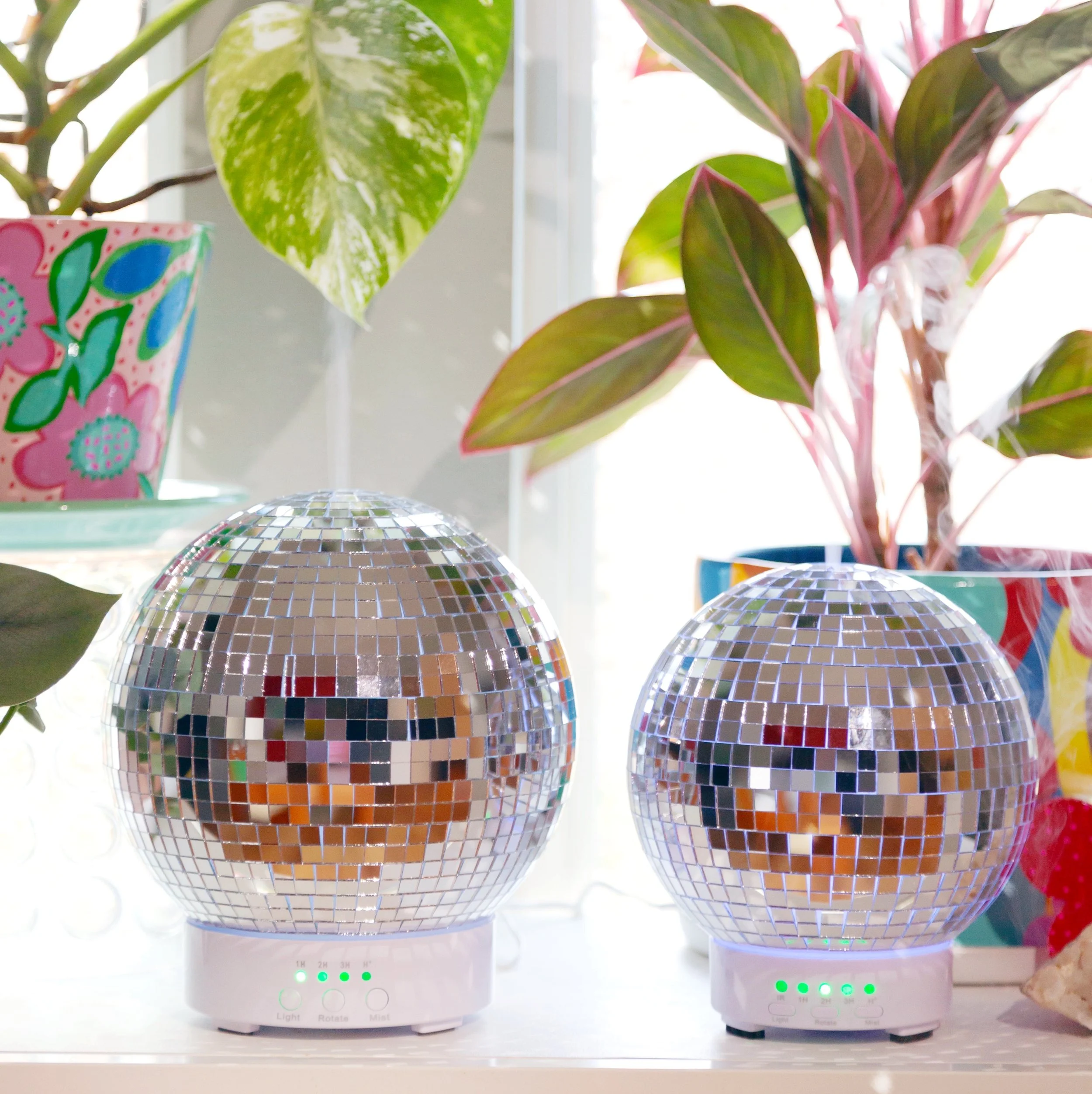 Tegan Collection - Iridescent Rainbow Pots — Stayin' Alive Succulents