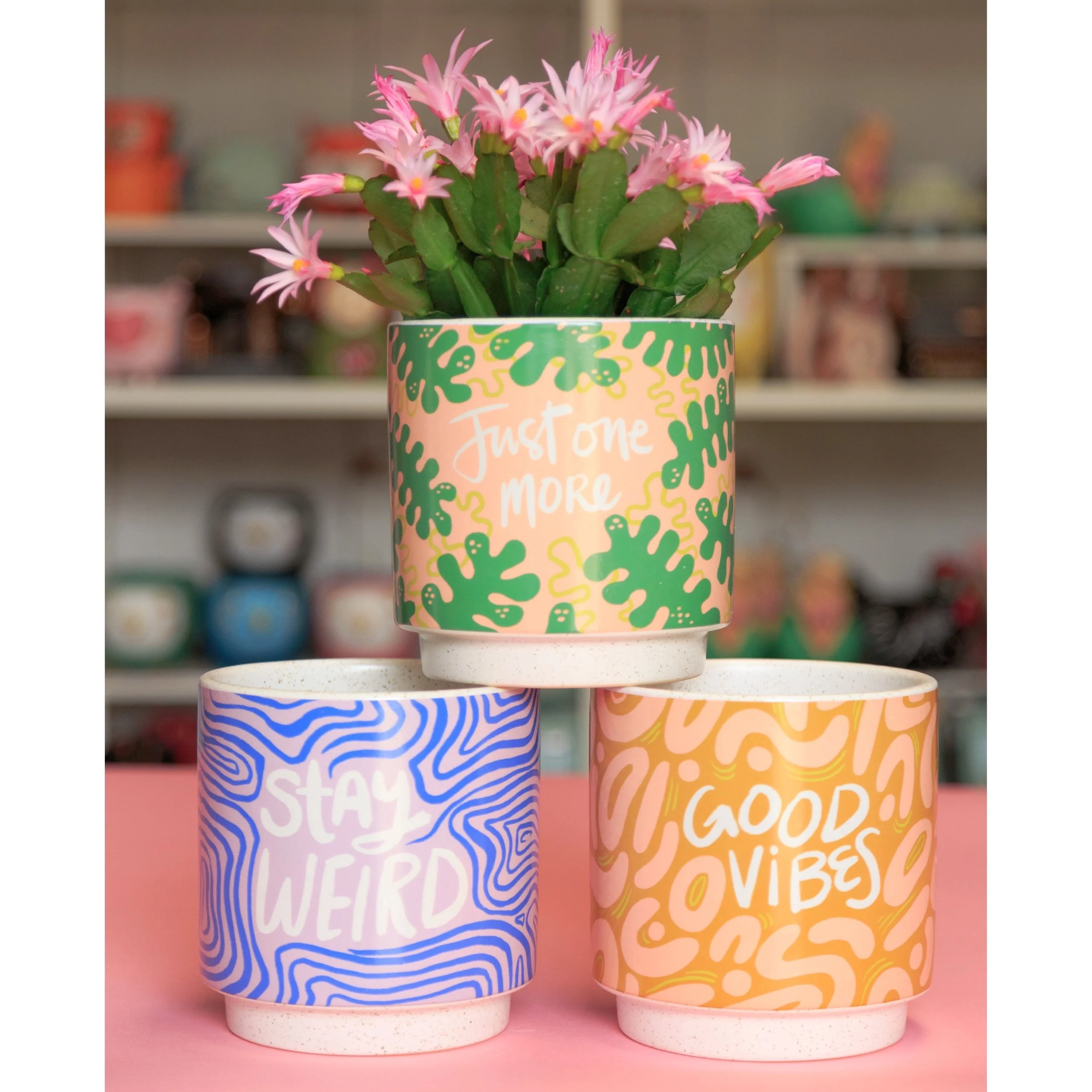 Tegan Collection - Iridescent Rainbow Pots — Stayin' Alive Succulents