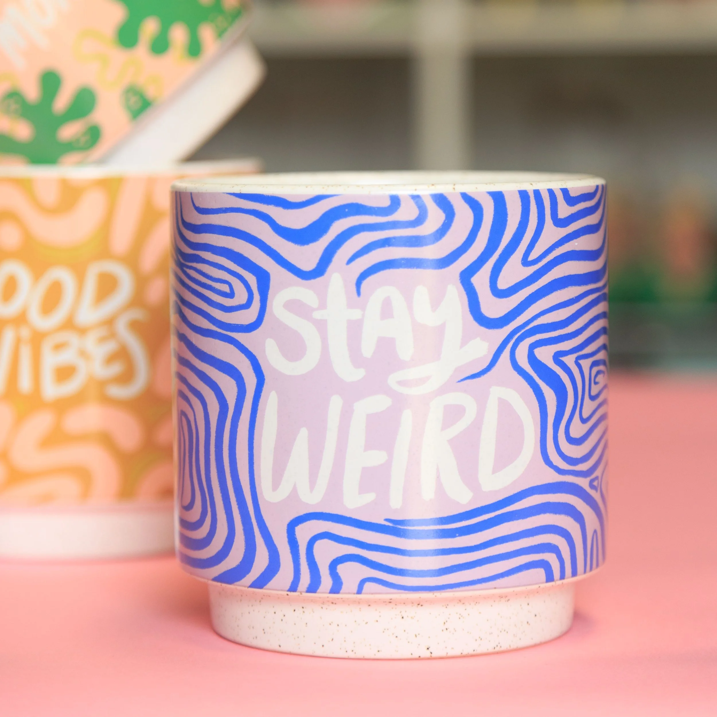 Tegan Collection - Iridescent Rainbow Pots — Stayin' Alive Succulents