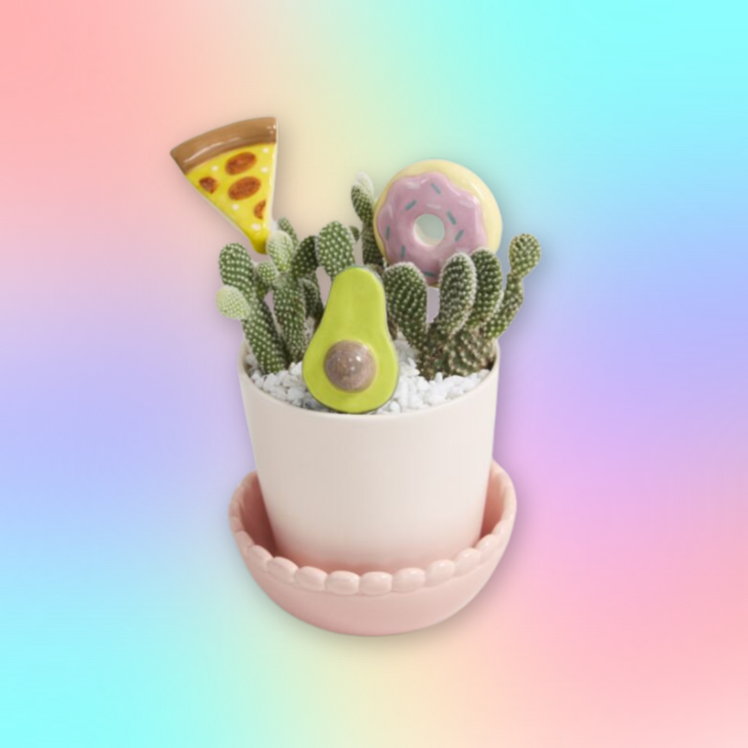 Planters — Stayin' Alive Succulents