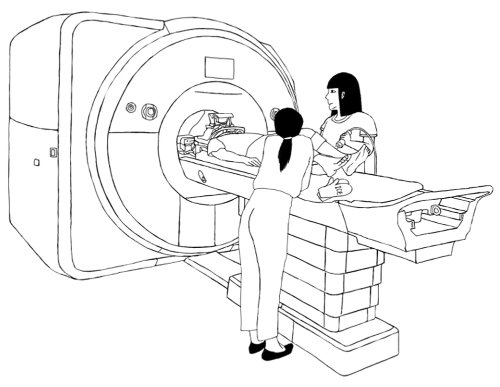 Research — Human Brain Function Lab @ University of Virginia