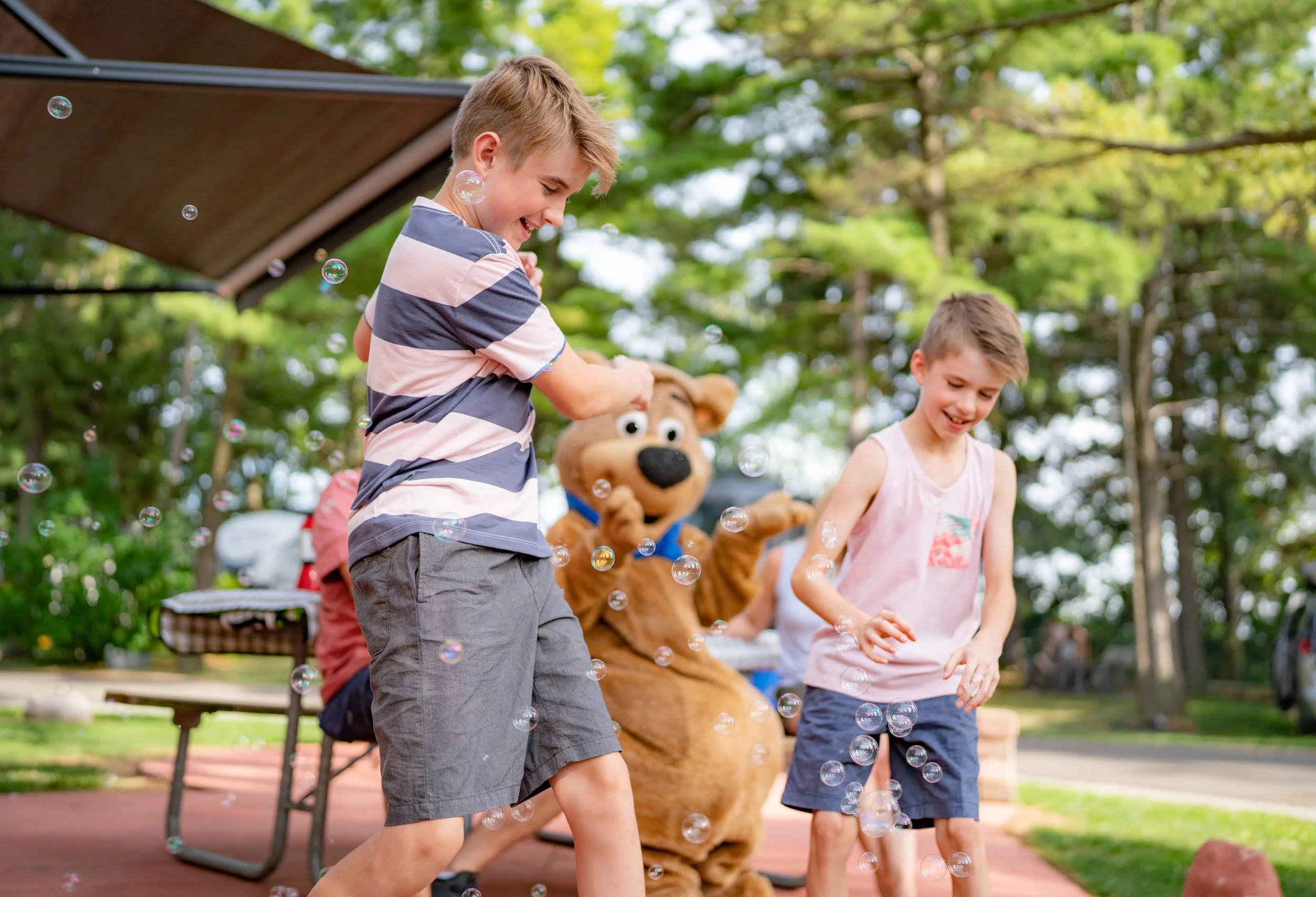 Personal Character Experiences with your Favorite Bear Friends ...