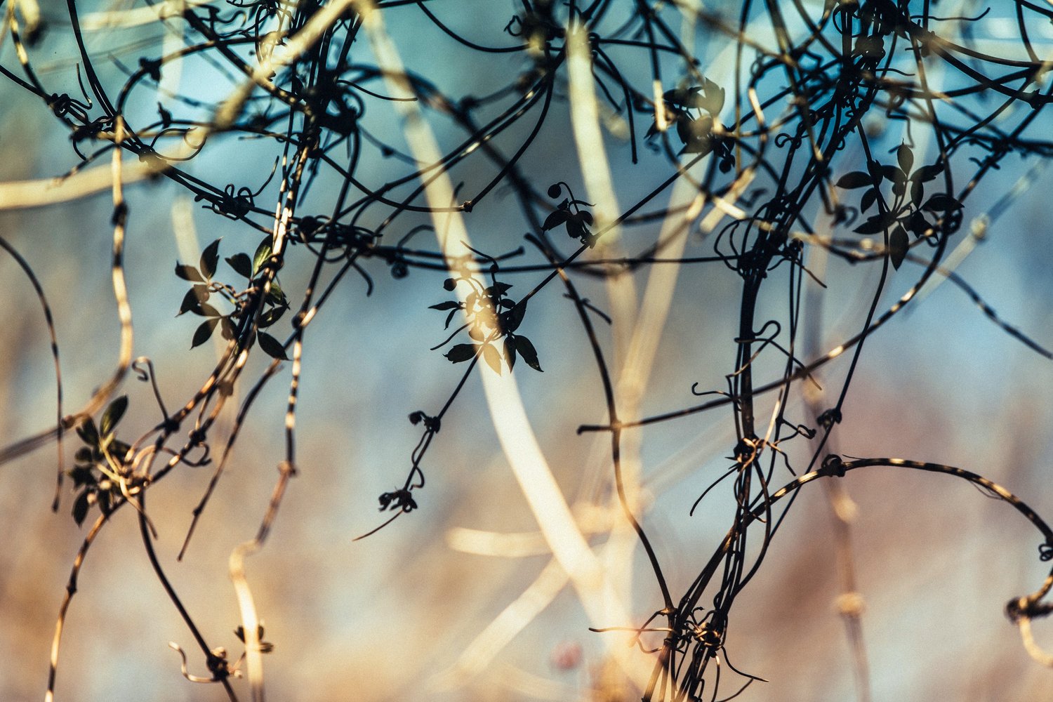 Coombe Farm Studios - Art Courses Pottery Hub Learn Research Make