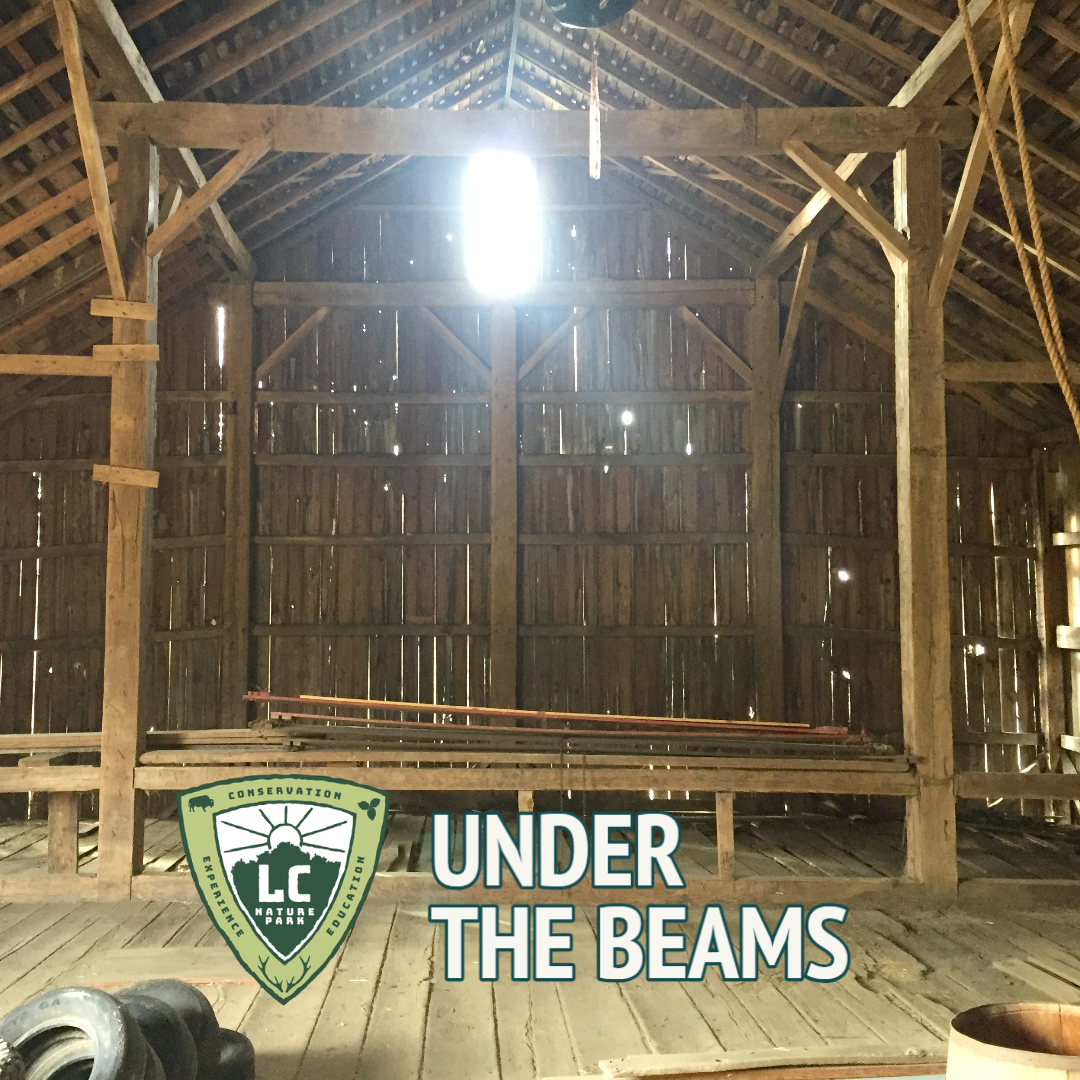 events — LC NATURE PARK