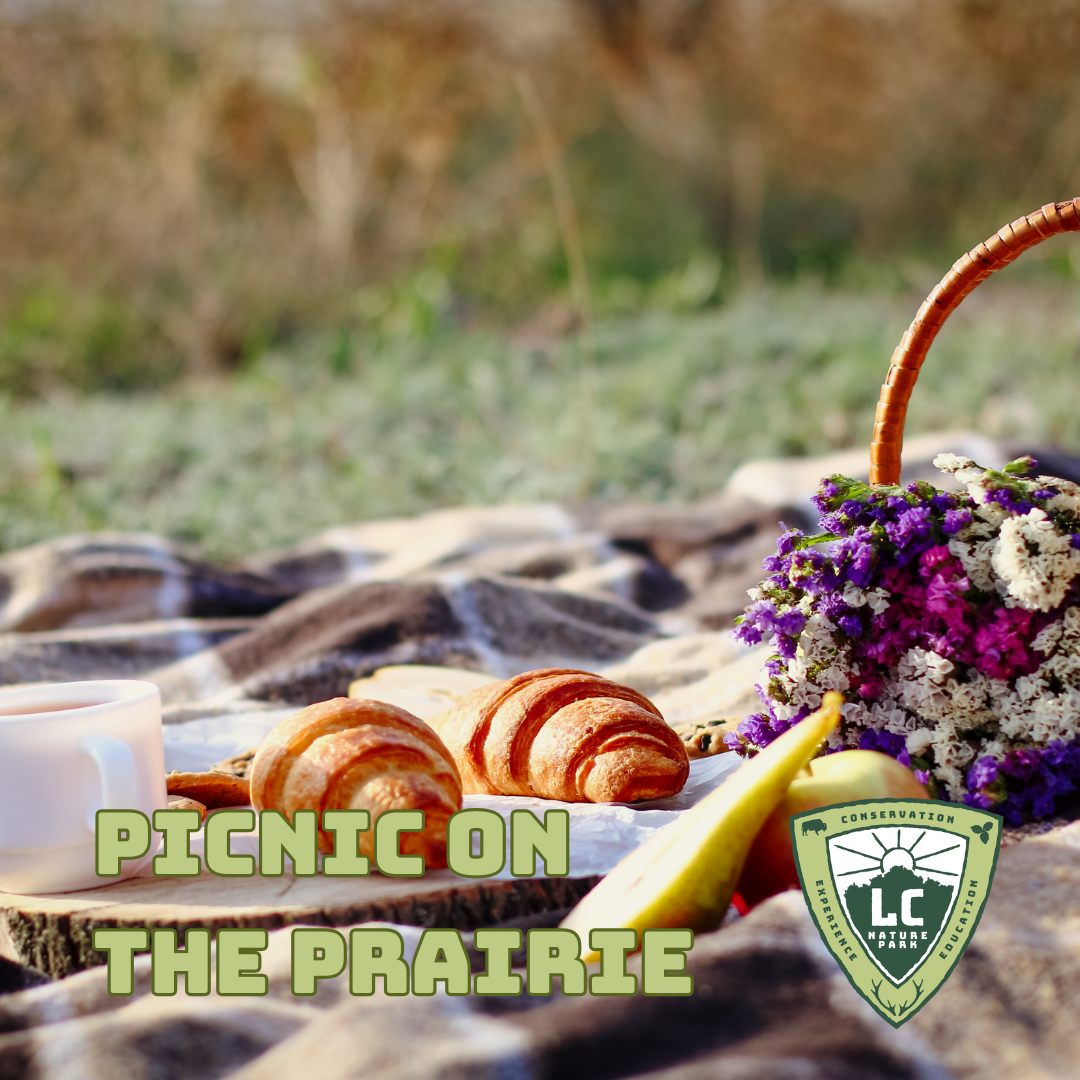 events — LC NATURE PARK