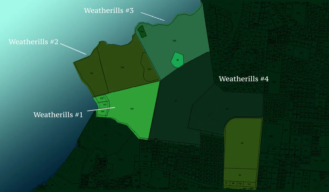 Weatherills — The August Group